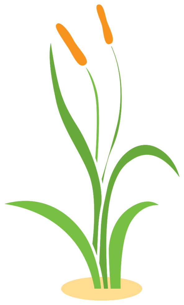 Grass 1193384 Png