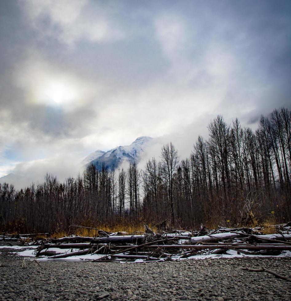 Trees and mountains under cloudy sky 1231073 Stock Photo at Vecteezy