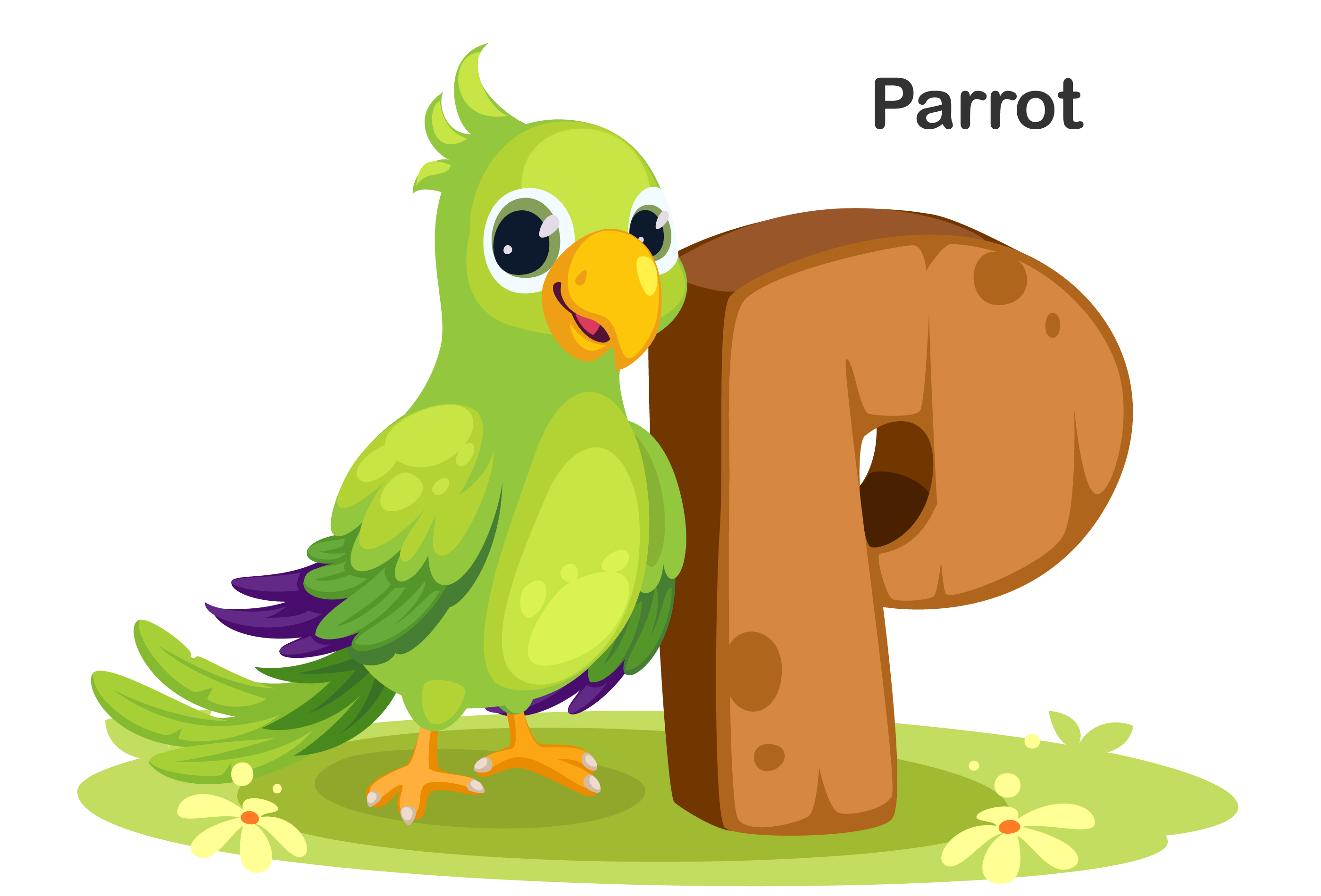 P for Parrot 1236957 Vector Art at Vecteezy