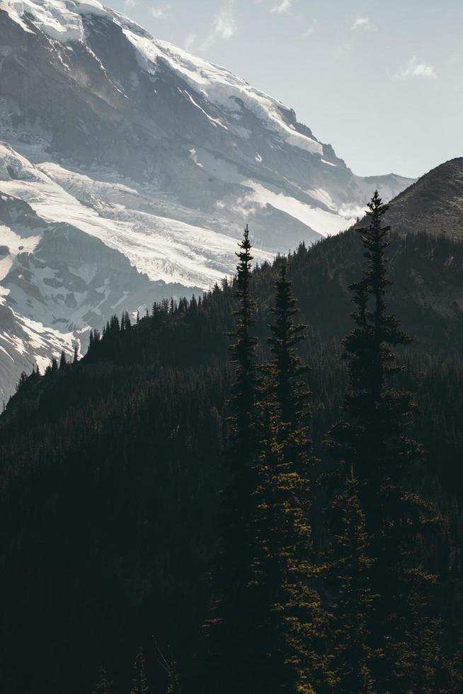 Mountain With Trees Stock Photos, Images and Backgrounds for Free Download