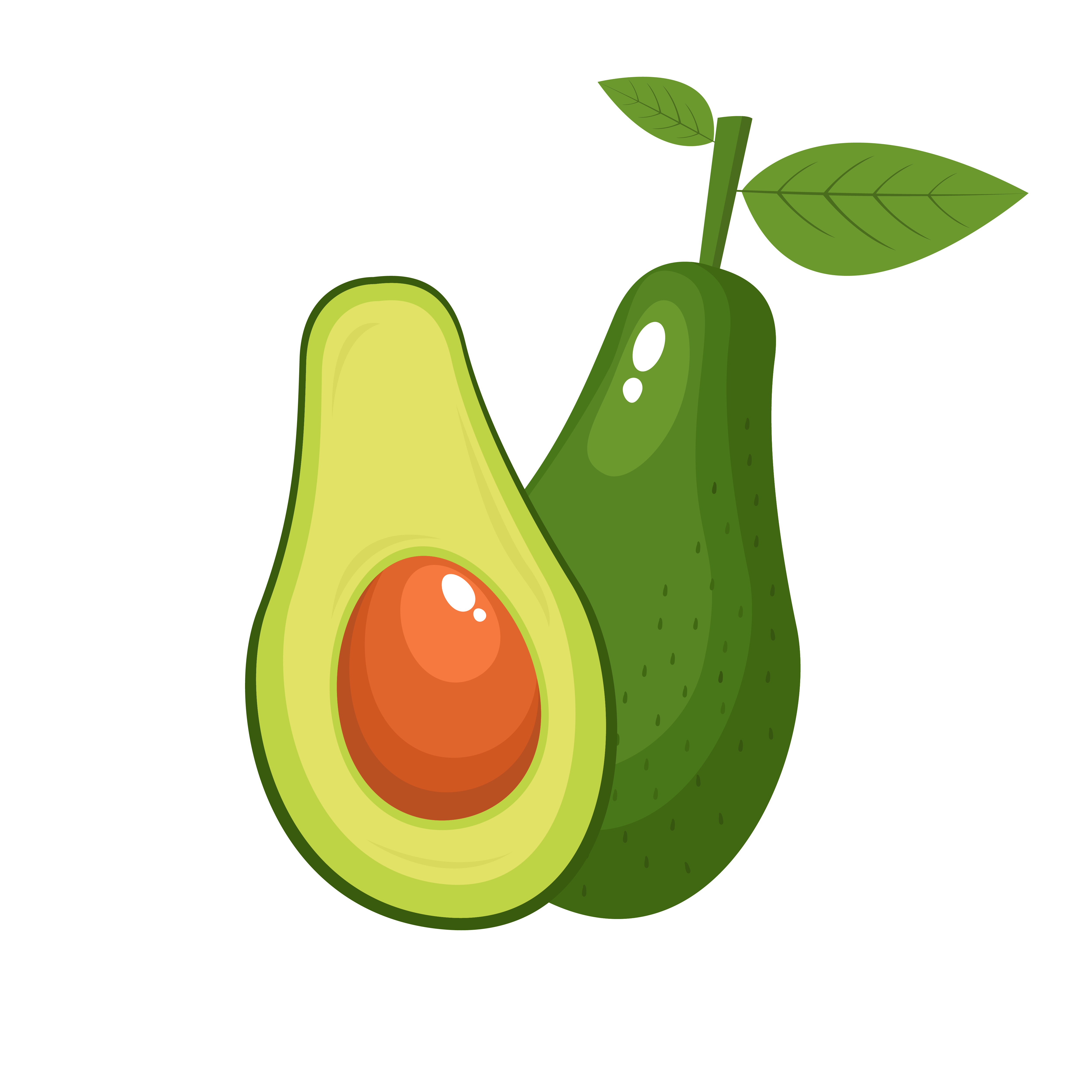 Álbumes 103 Foto Animado Fondos De Pantalla De Aguacate El último