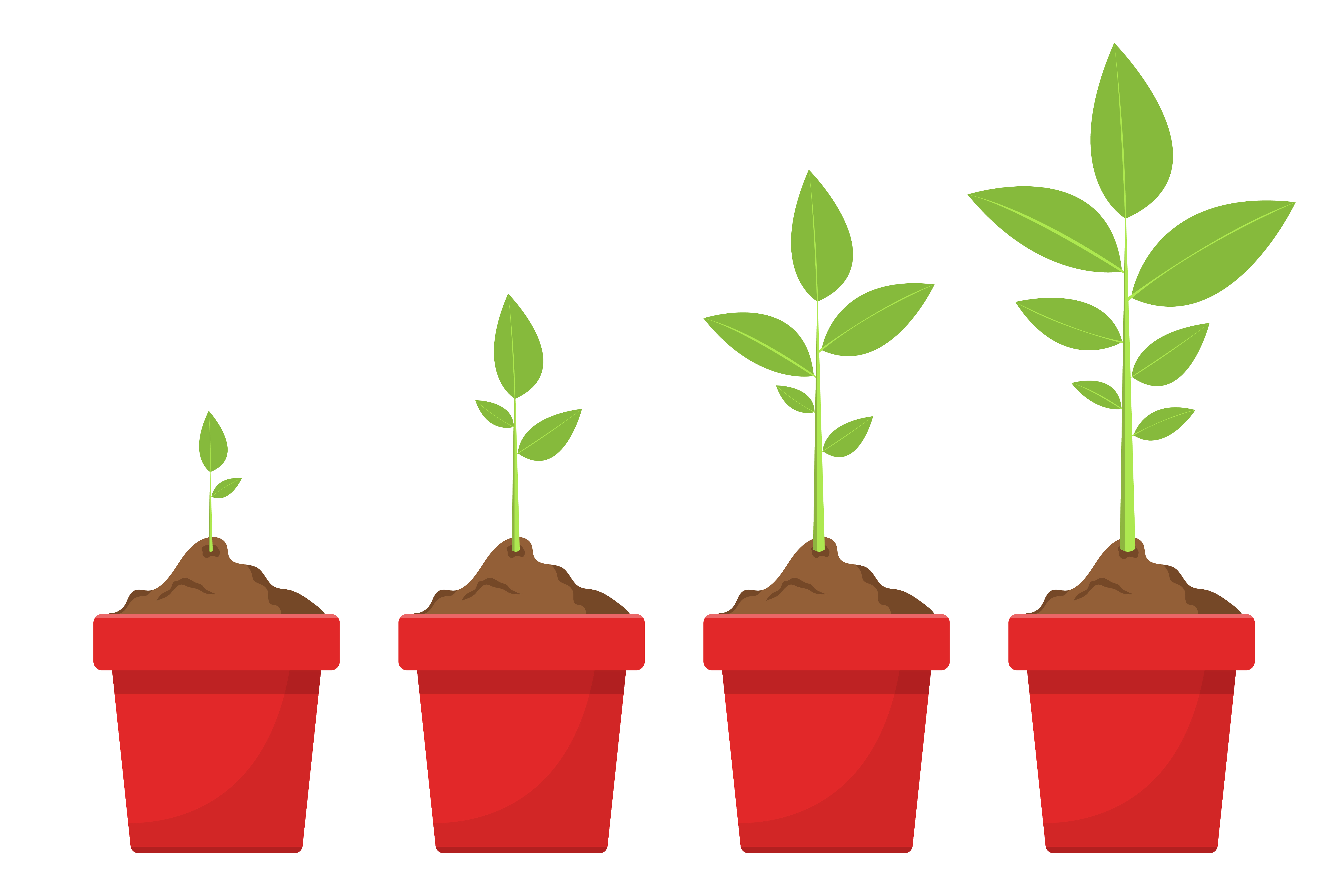 Plant Growing Stages 1271079 Vector Art At Vecteezy