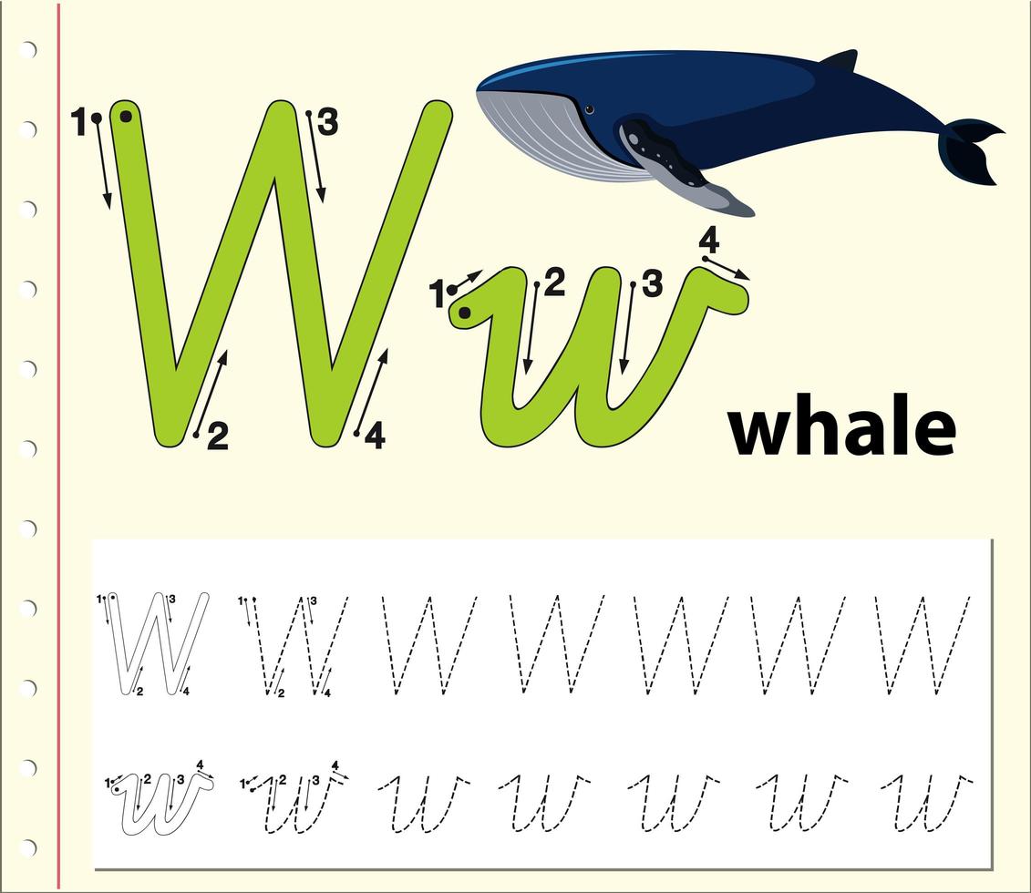 Letter W tracing alphabet worksheet with whale 1361065 Vector Art at ...