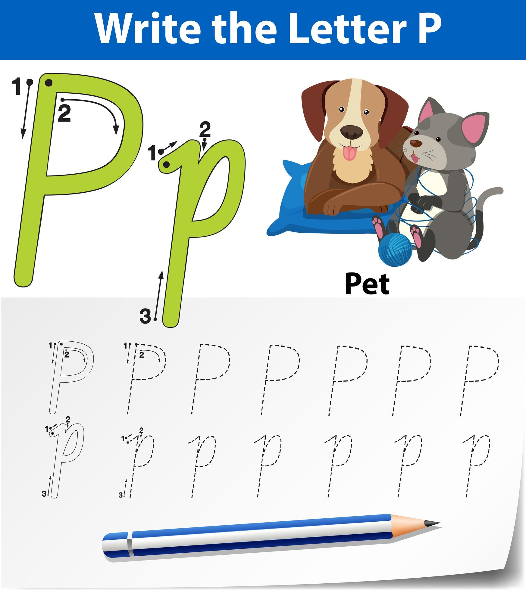 Letter P Tracing Alphabet Worksheet With Pet 1361098 Vector Art At Vecteezy letter-p-tracing-alphabet-worksheet-with-pet-1361098-vector-art-at-vecteezy