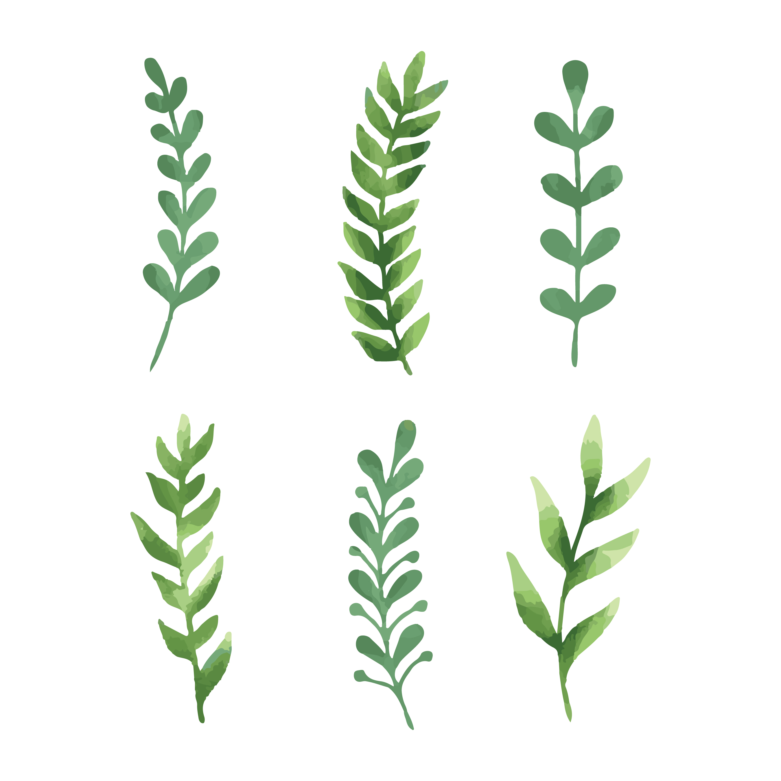 Watercolor Paint Leaves 1380147 Vector Art At Vecteezy watercolor-paint-leaves-1380147-vector-art-at-vecteezy