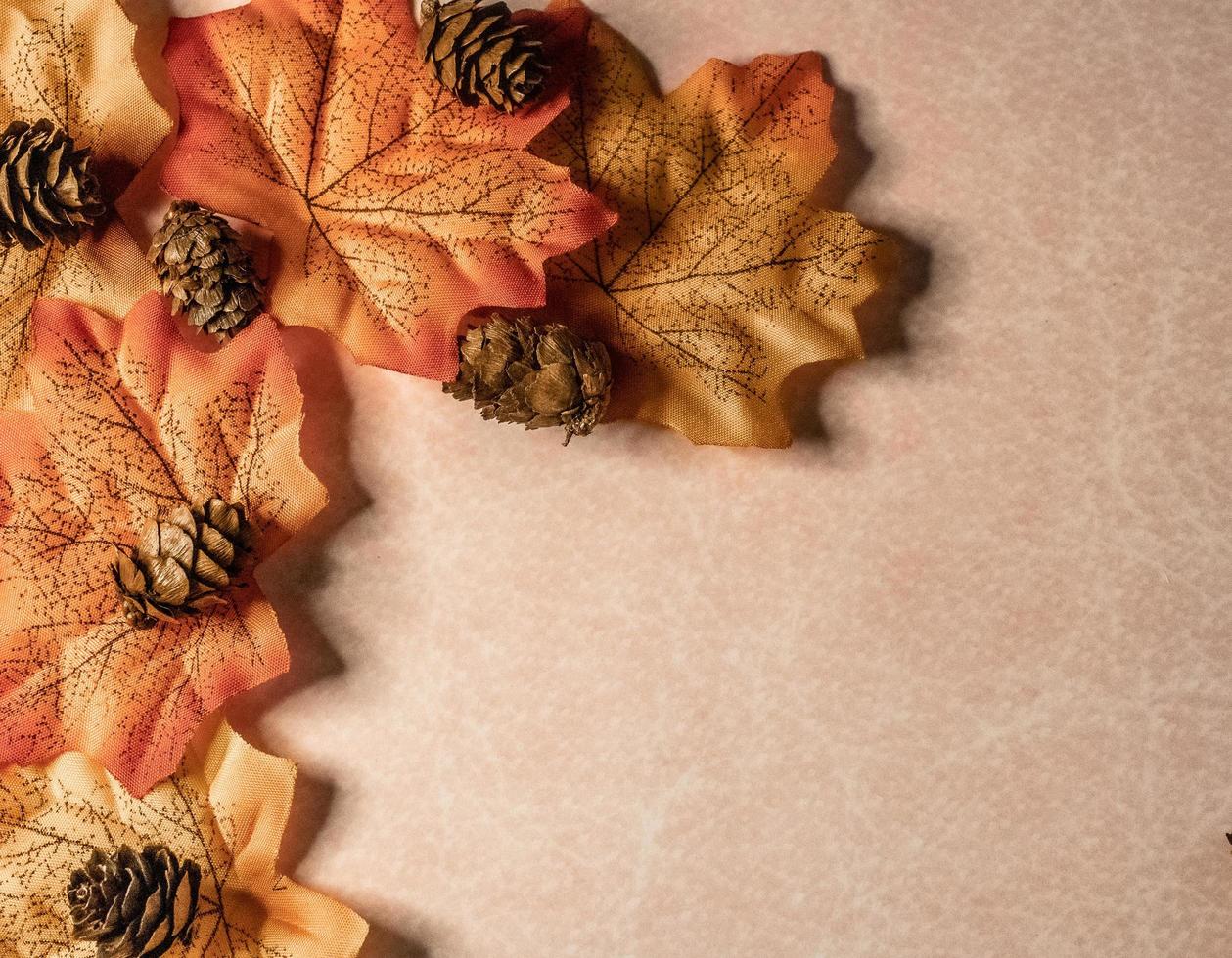 Fall leaves border 1425248 Stock Photo at Vecteezy