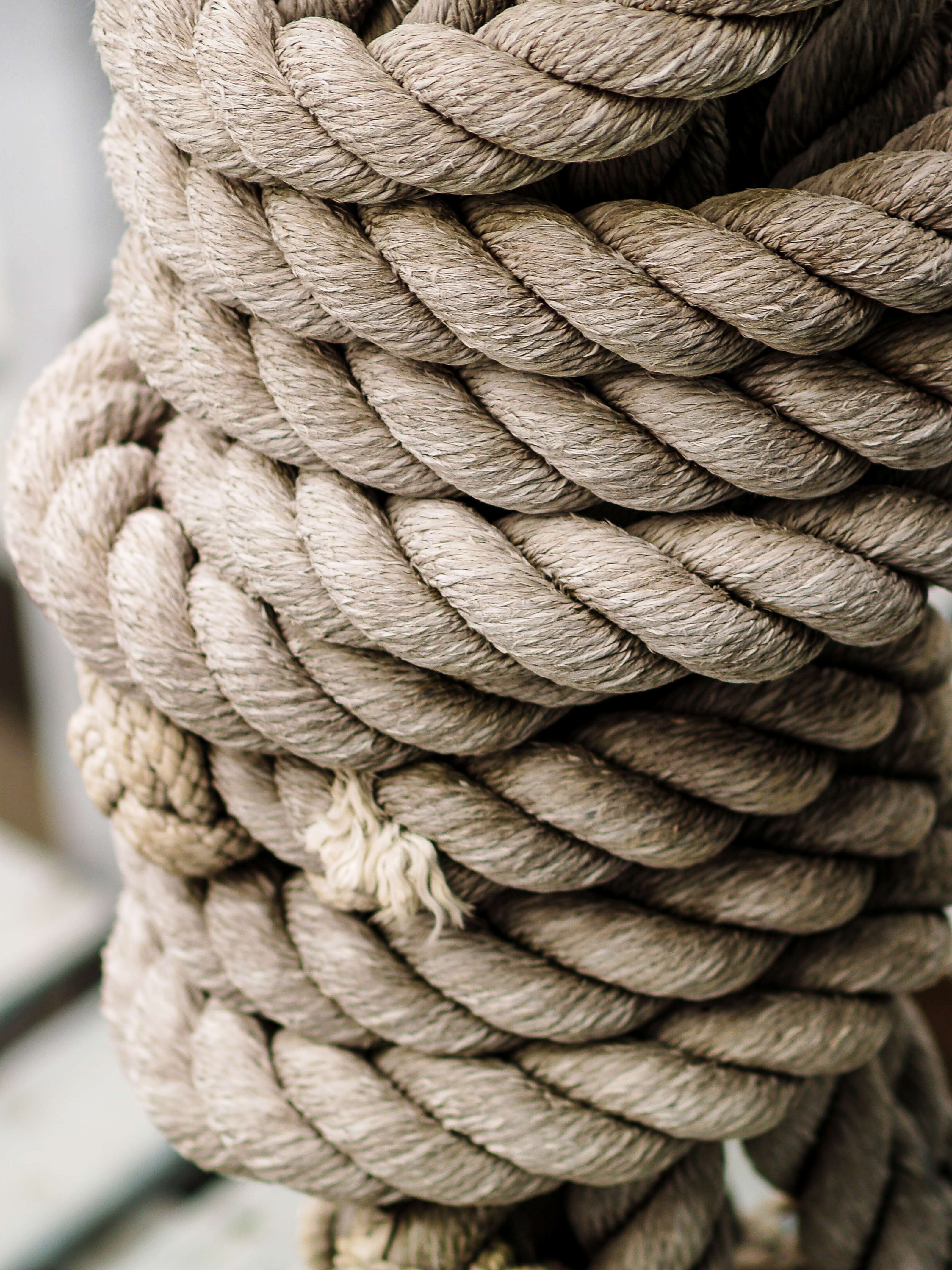 Tied Rope Stock Photos, Images and Backgrounds for Free Download