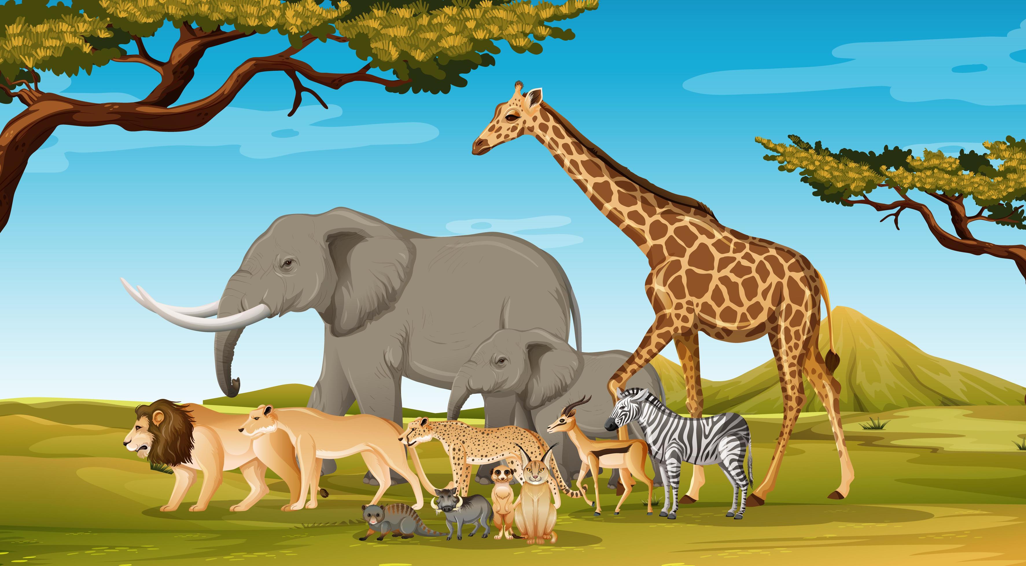Group of Wild African Animal in the forest scene 1590809 Vector Art at ...