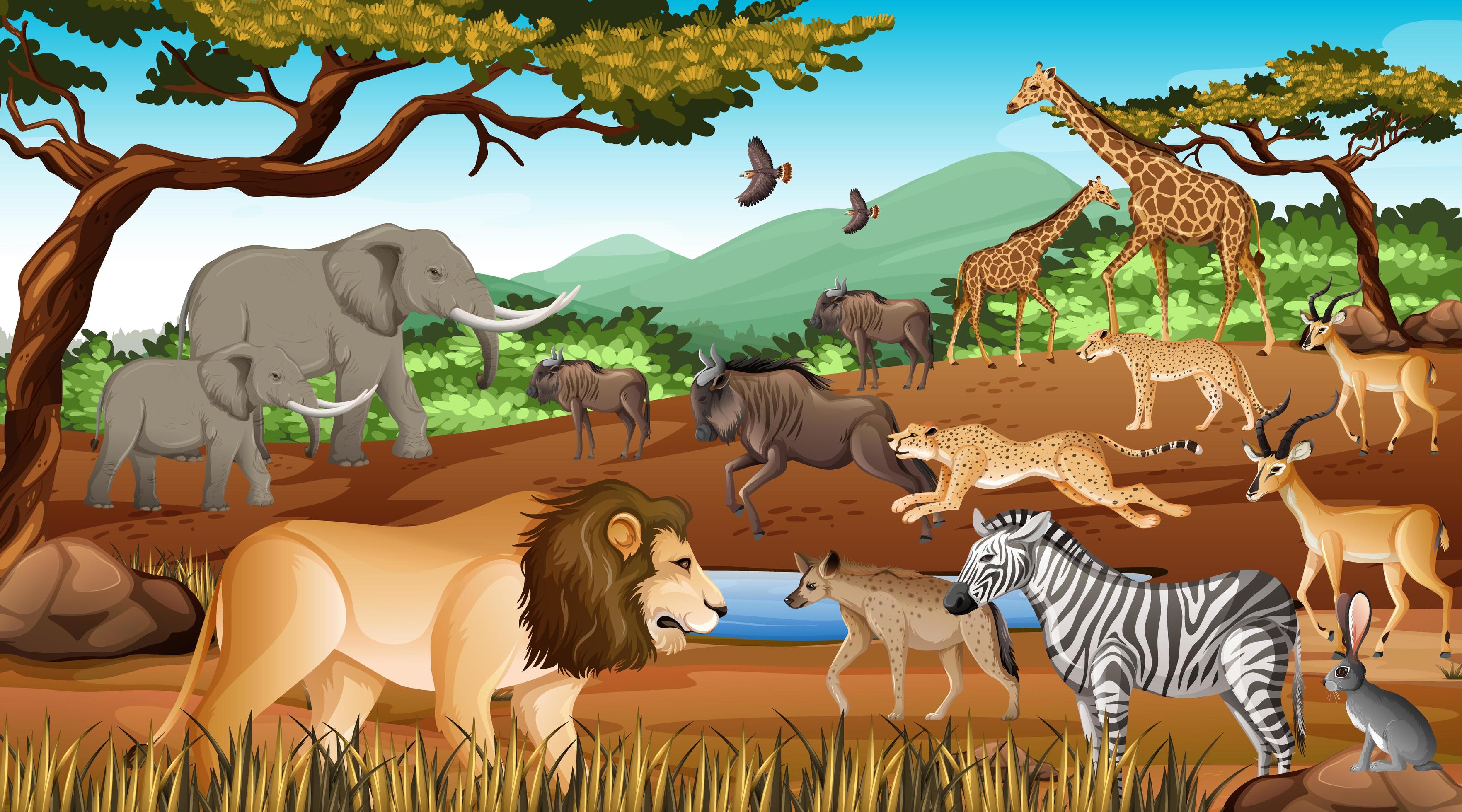 Group of Wild African Animal in the forest scene 1590876 Vector Art at ...