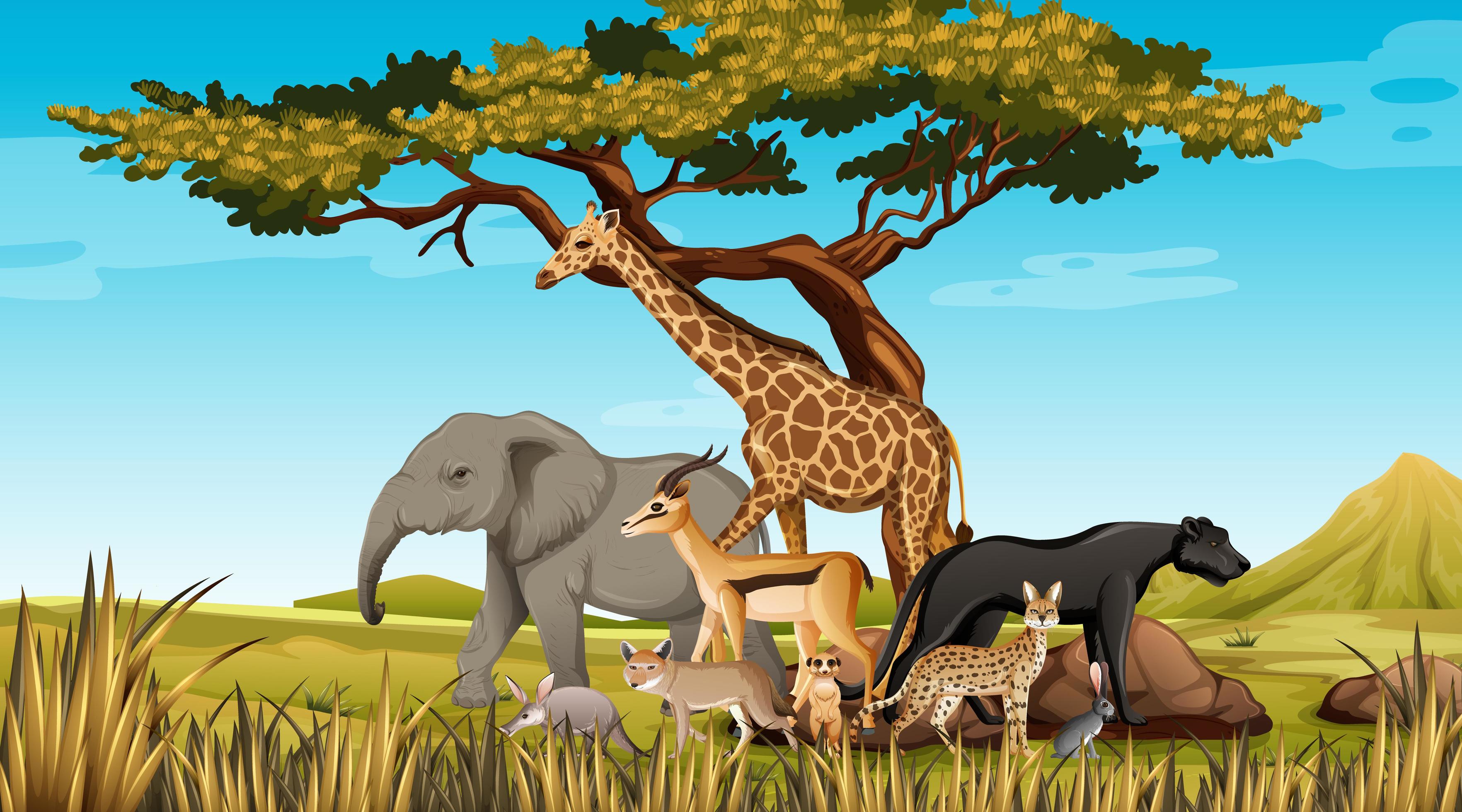 Group of Wild African Animal in the forest scene 1609845 Vector Art at ...