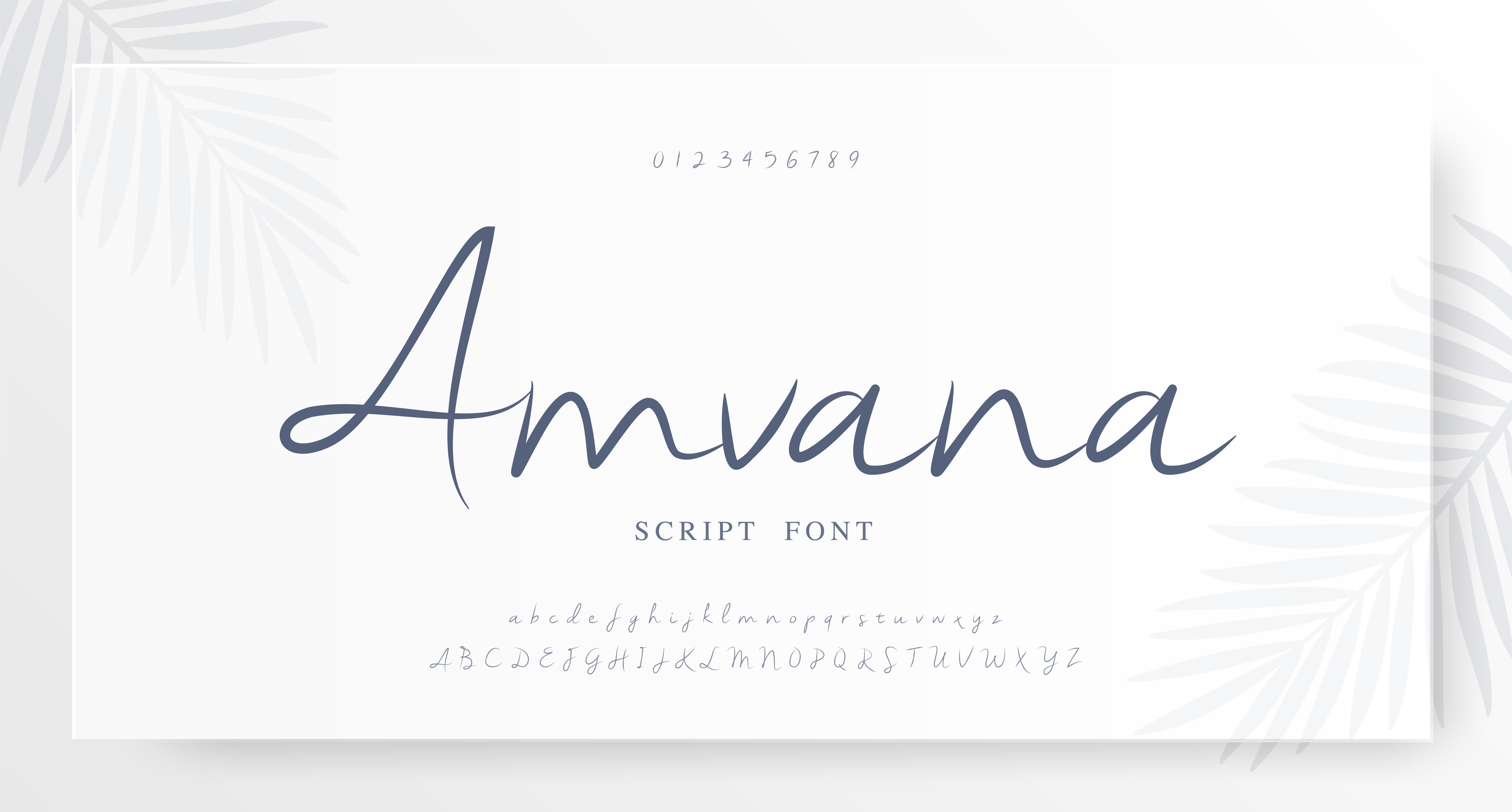 Elegant Script Fonts Alphabet