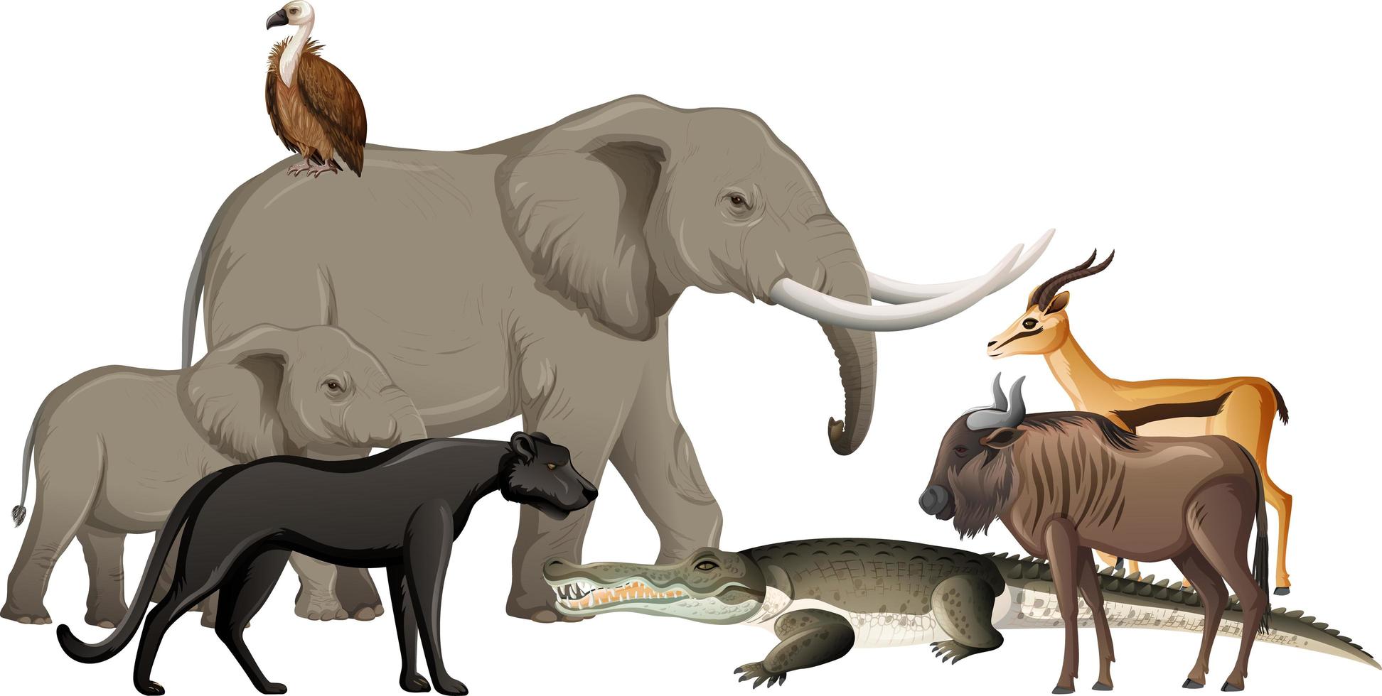 Group of wild african animal on white background 1845110 Vector Art at ...