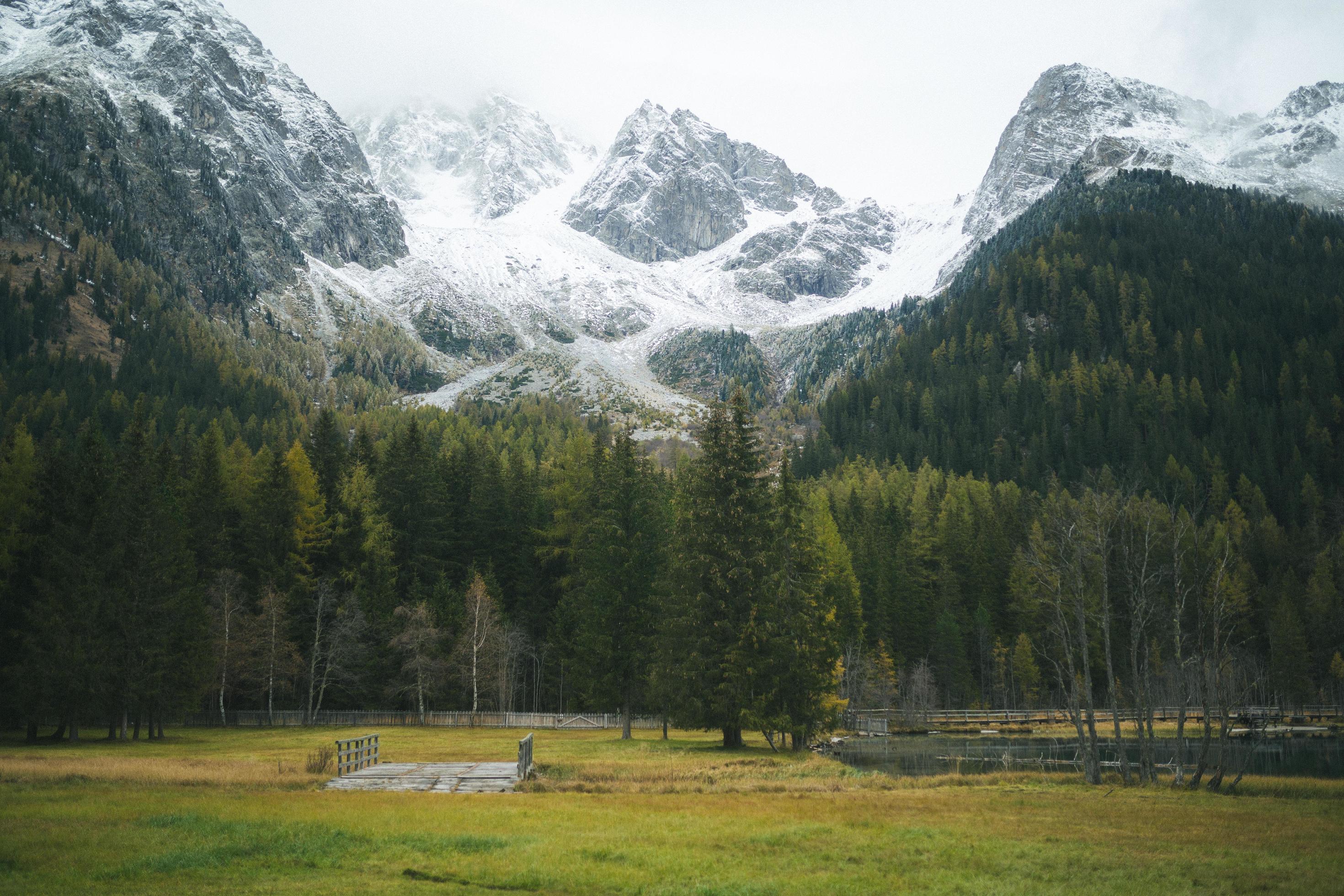 Mountain and trees with cloudy sky 1864676 Stock Photo at Vecteezy