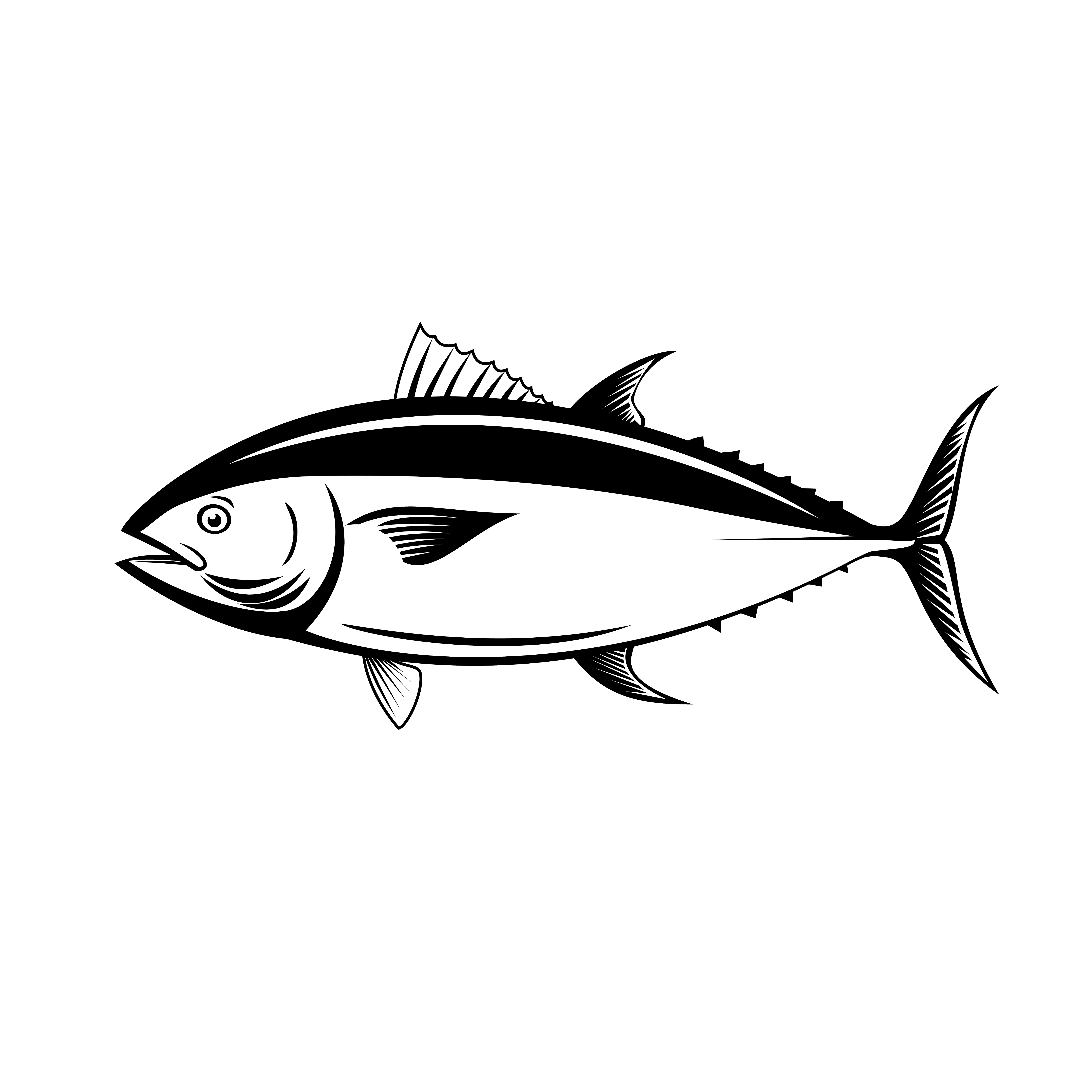 Atlantic Bluefin Tuna Northern Bluefin Tuna Giant Bluefin Tuna or Tunny ... Atlantic Bluefin Tuna Northern Bluefin Tuna Giant Bluefin Tuna or Tunny ...
