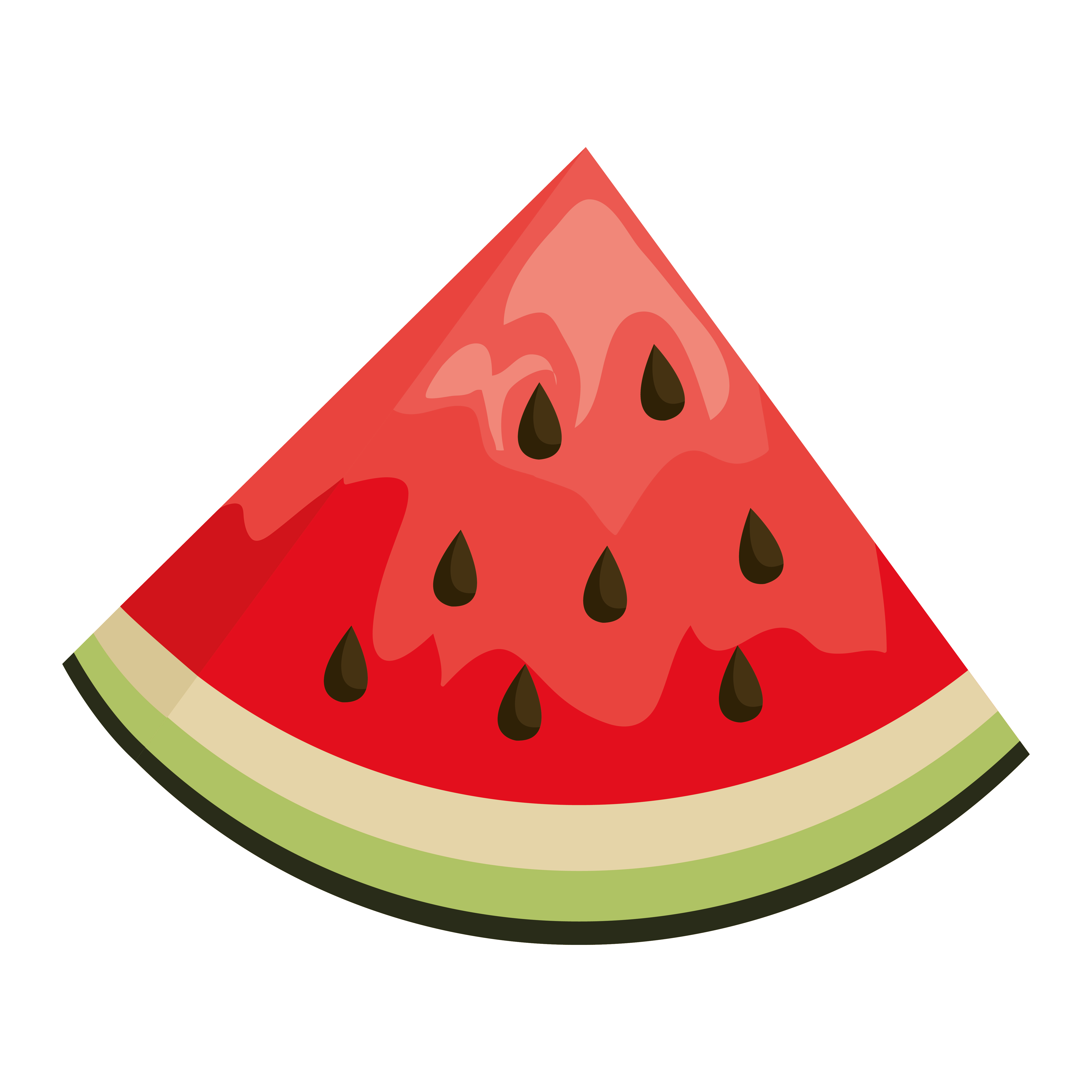 fresh watermelon fruit healthy food 1932203 Vector Art at Vecteezy