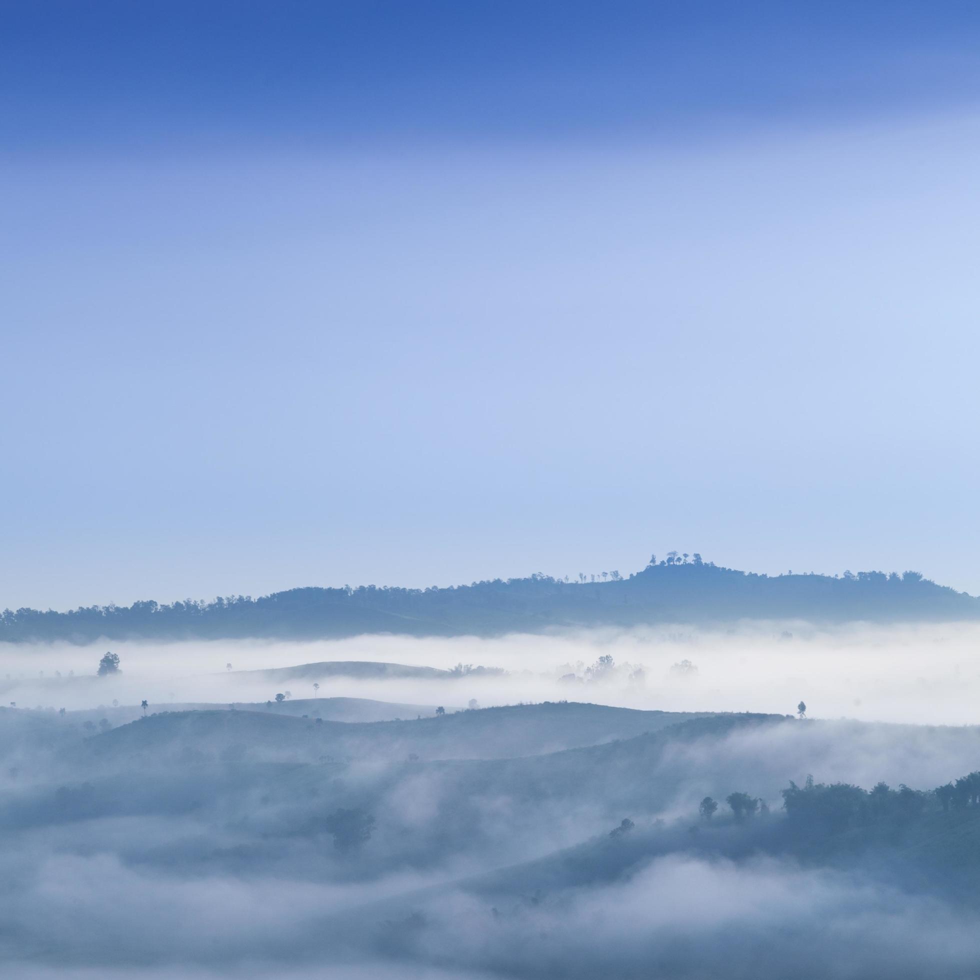 Fog covered mountains and forest 1935954 Stock Photo at Vecteezy