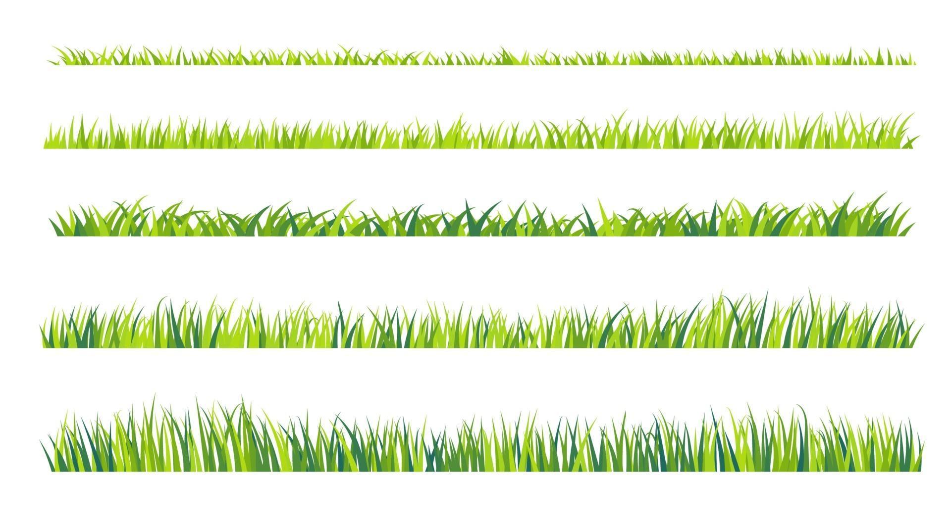 Grassland Border Vector Pattern Green Lawn In Spring The Concept Of