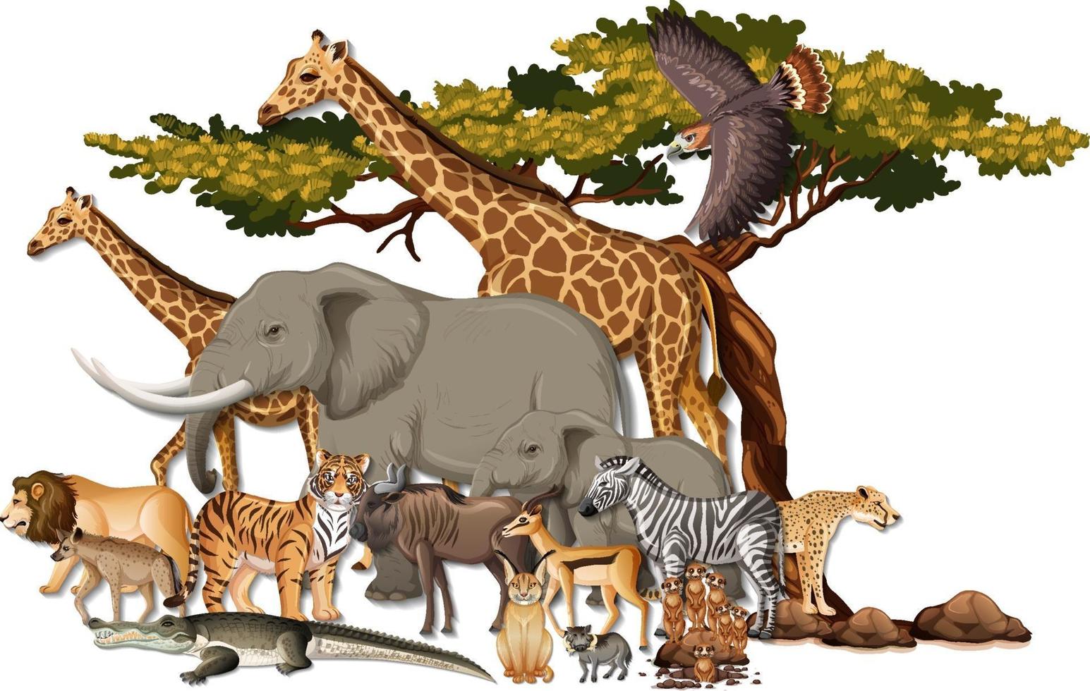 Group of wild African animals on white background 1988539 Vector Art at ...