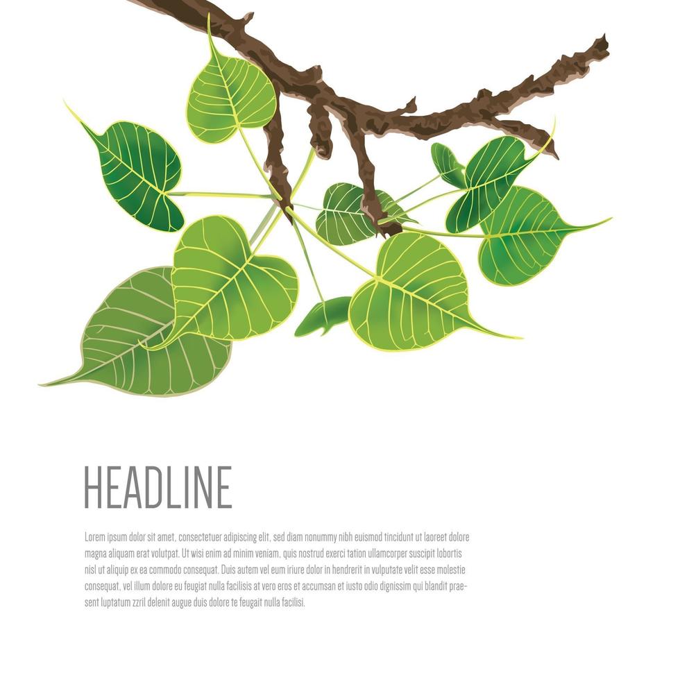 Bodhi Leaf Vector Art, Icons, and Graphics for Free Download Bodhi Leaf Vector Art, Icons, and Graphics for Free Download