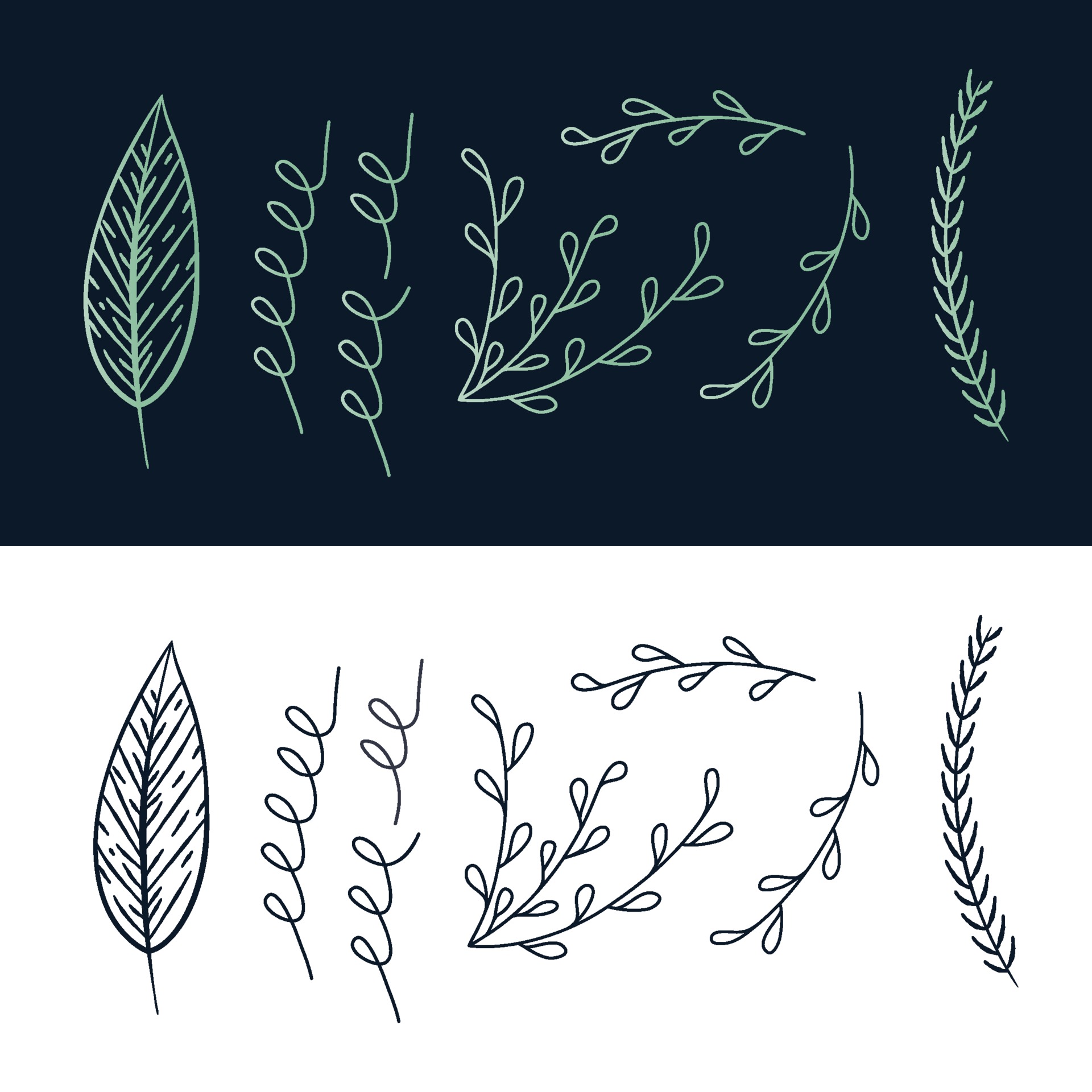 hand drawn leaves set 2031802 Vector Art at Vecteezy hand drawn leaves set 2031802 Vector Art at Vecteezy