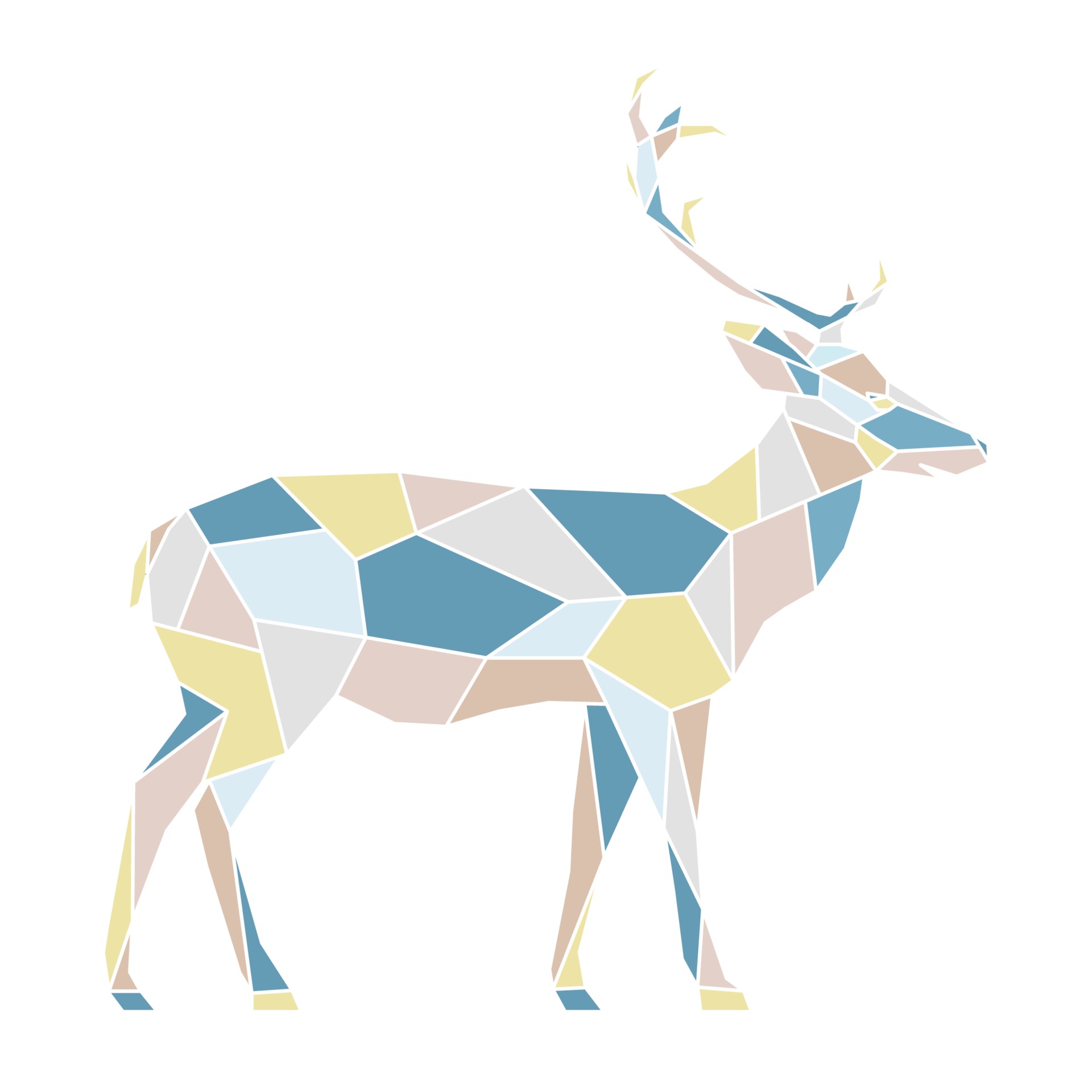 Polygonal geometric outline multicolor illustration of deer ...