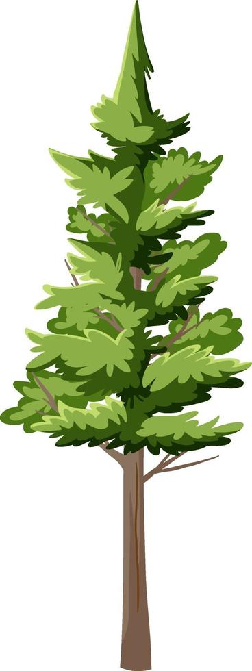 Single rainforest tree isolated on white background 2053070 Vector Art ...