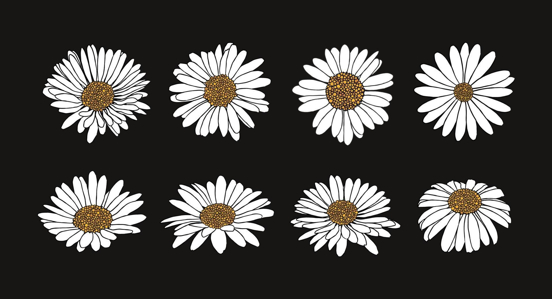 Collection Of Daisy Flower With Ink Style Vector 2067852 Vector Art At