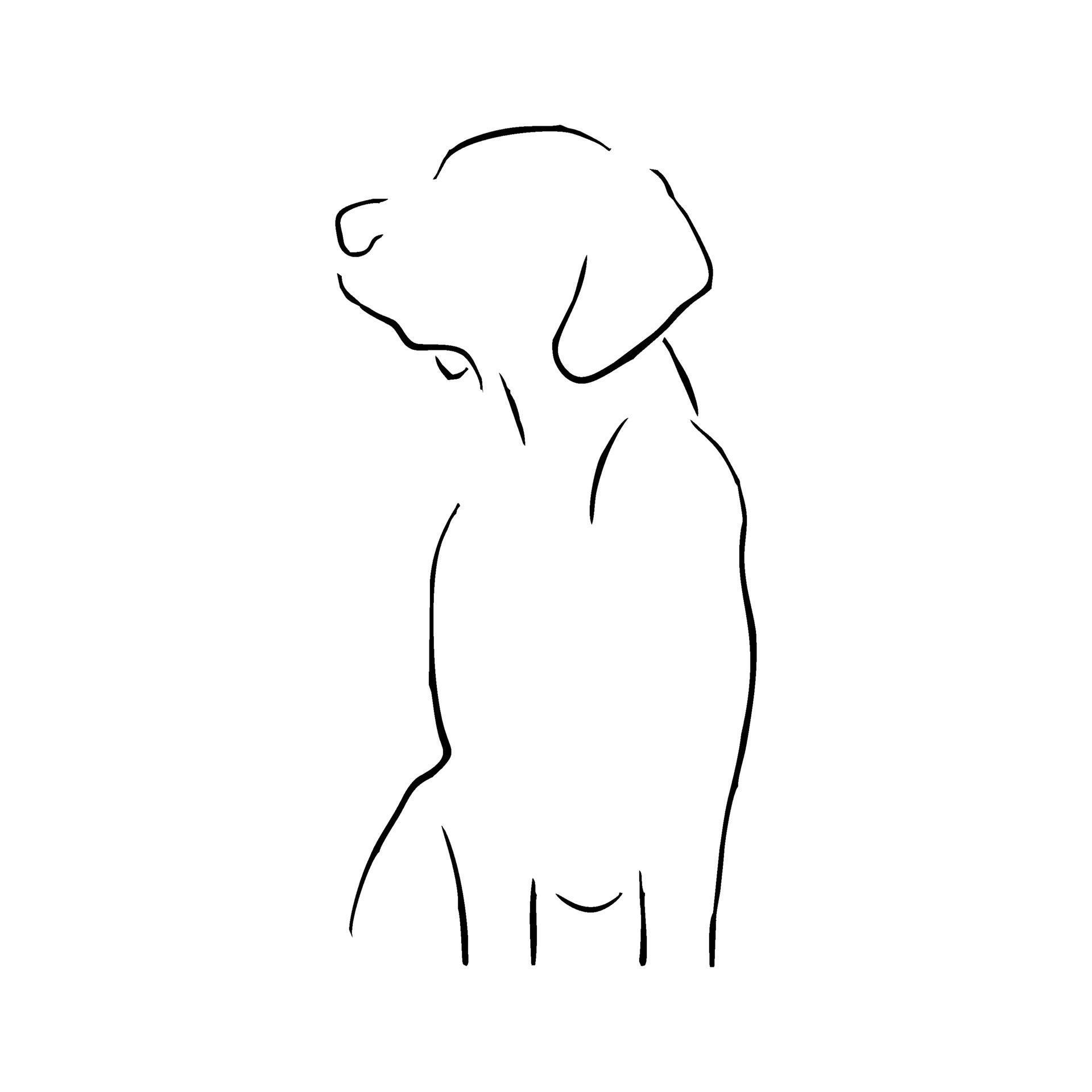 Abstract Dog Line art vector template 2101582 Vector Art at Vecteezy Abstract Dog Line art vector template 2101582 Vector Art at Vecteezy