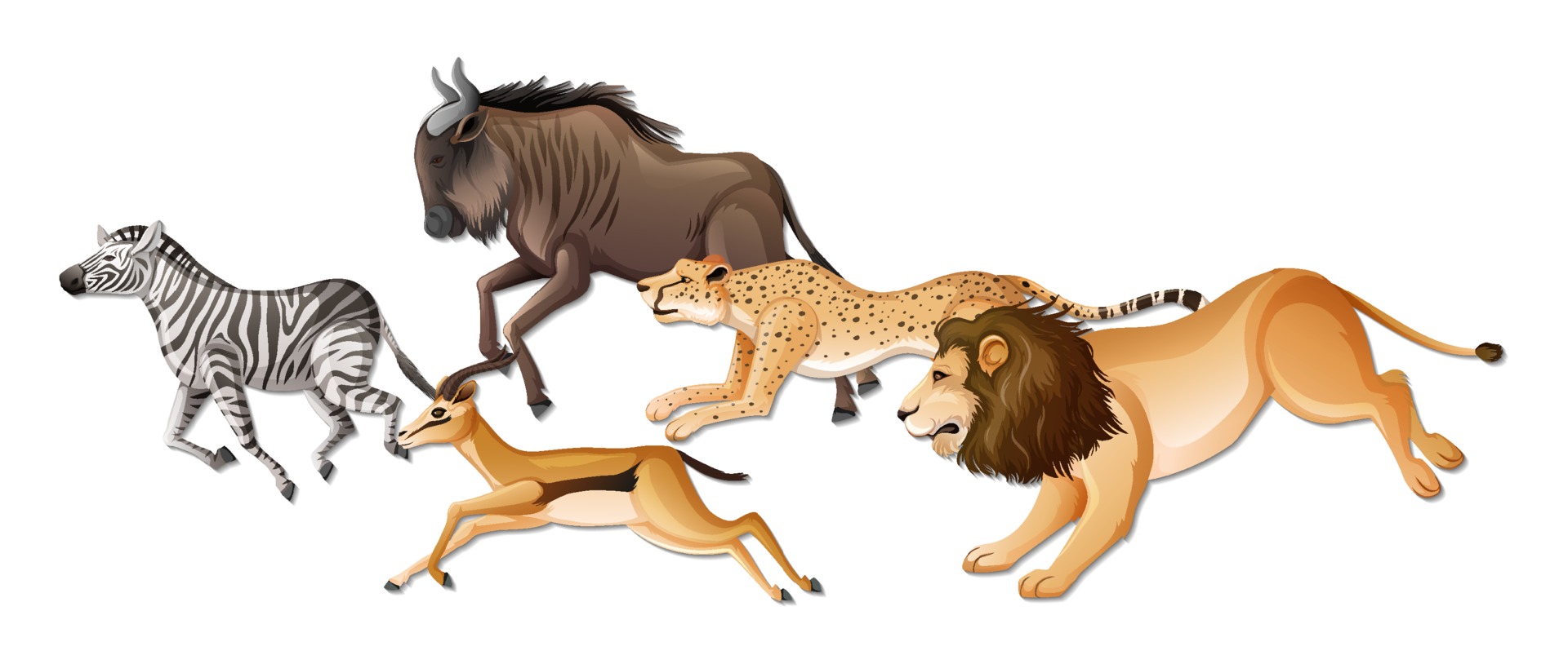 Group of wild African animals on white background 2119933 Vector Art at ...