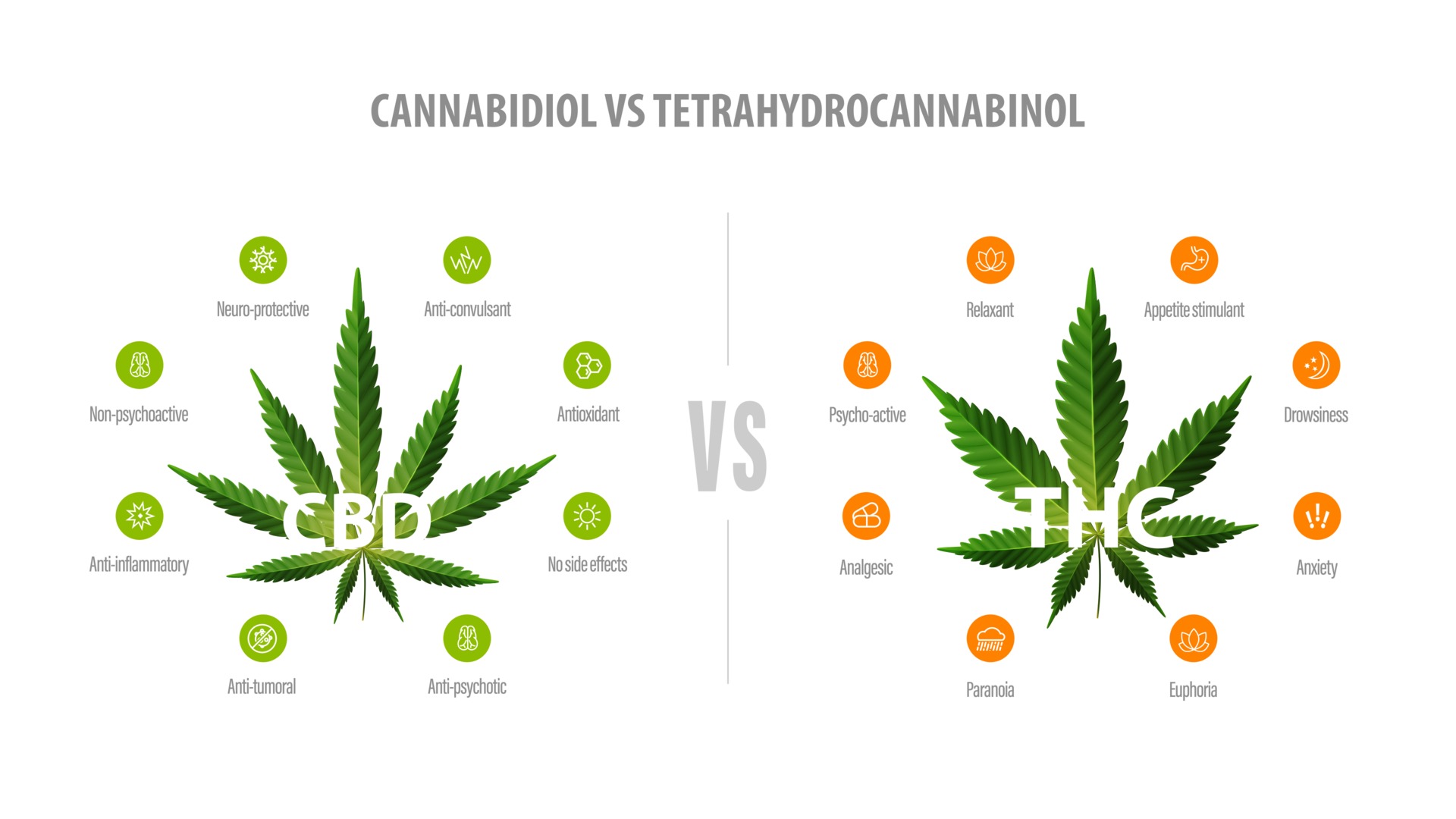 White banner with comparison CBD and THC. CBD vs THC, list of ... White banner with comparison CBD and THC. CBD vs THC, list of ...