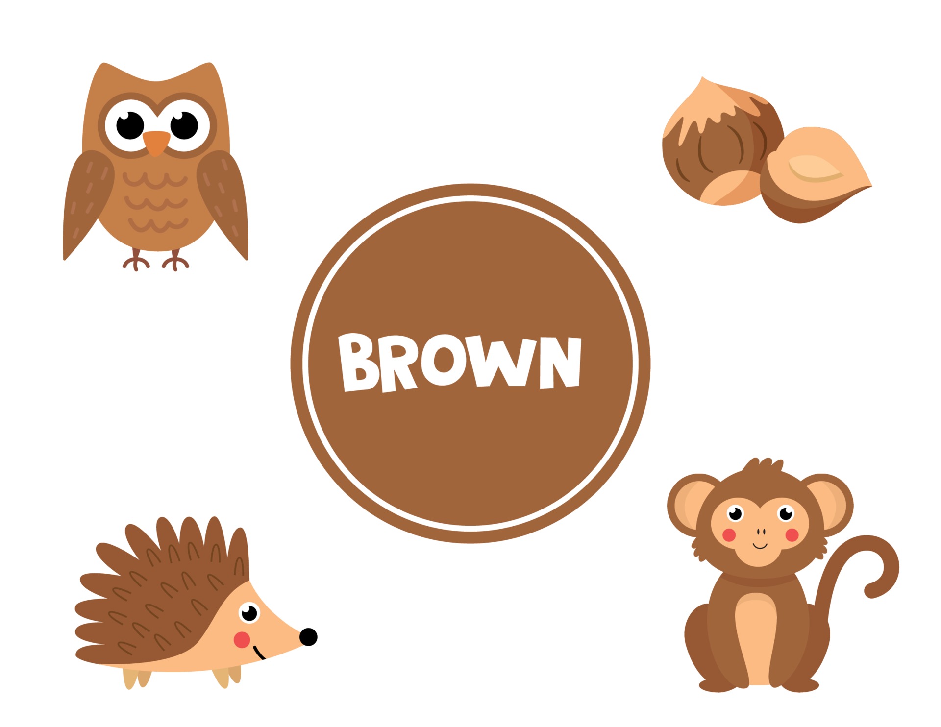 The Color Brown Preschool