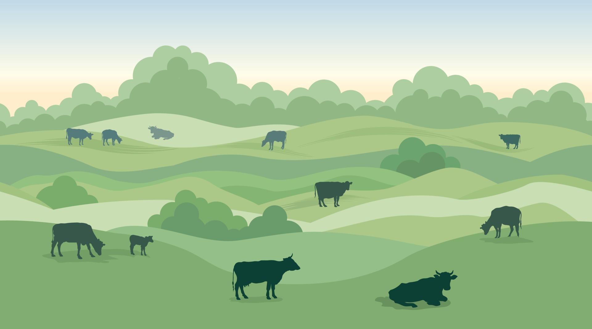 Rural dairy farm landscape with cows over seamless panoramic ... Rural dairy farm landscape with cows over seamless panoramic ...