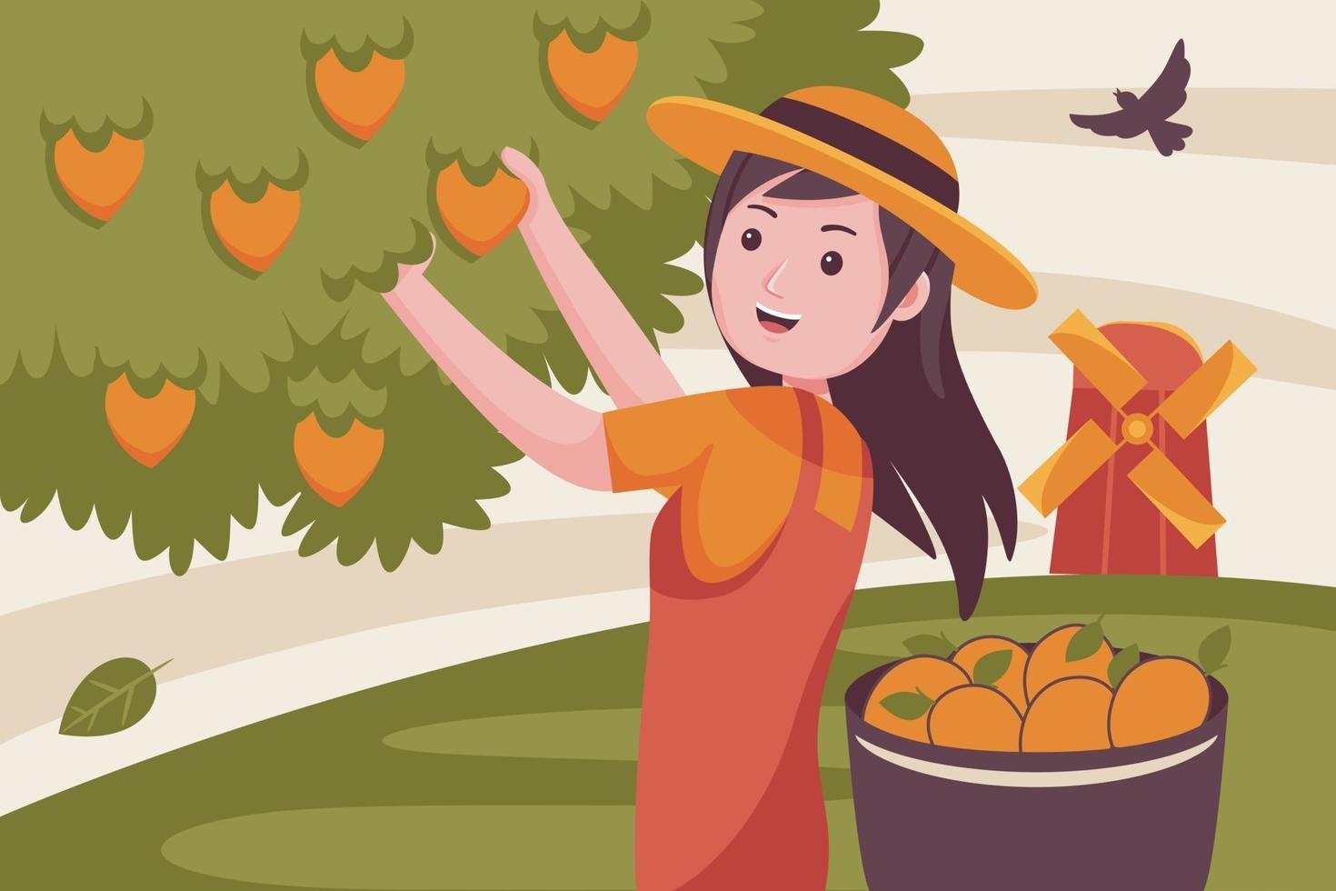 Woman Farmer Picks Fruit From Mango Tree 2175632 Vector Art At Vecteezy