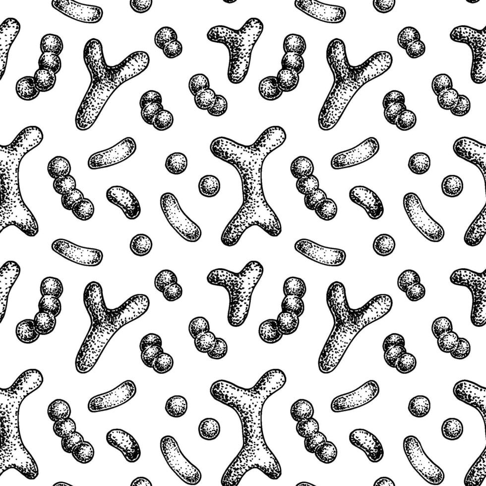 Hand Drawn Probiotic Streptococcus Thermophiles Bacteria Good