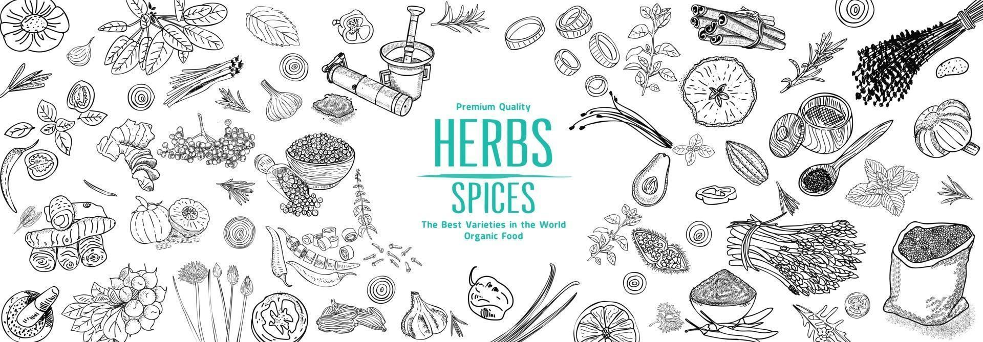 Herbs and Spices. Hand drawn vector illustration set. Top view frame ... Herbs and Spices. Hand drawn vector illustration set. Top view frame ...