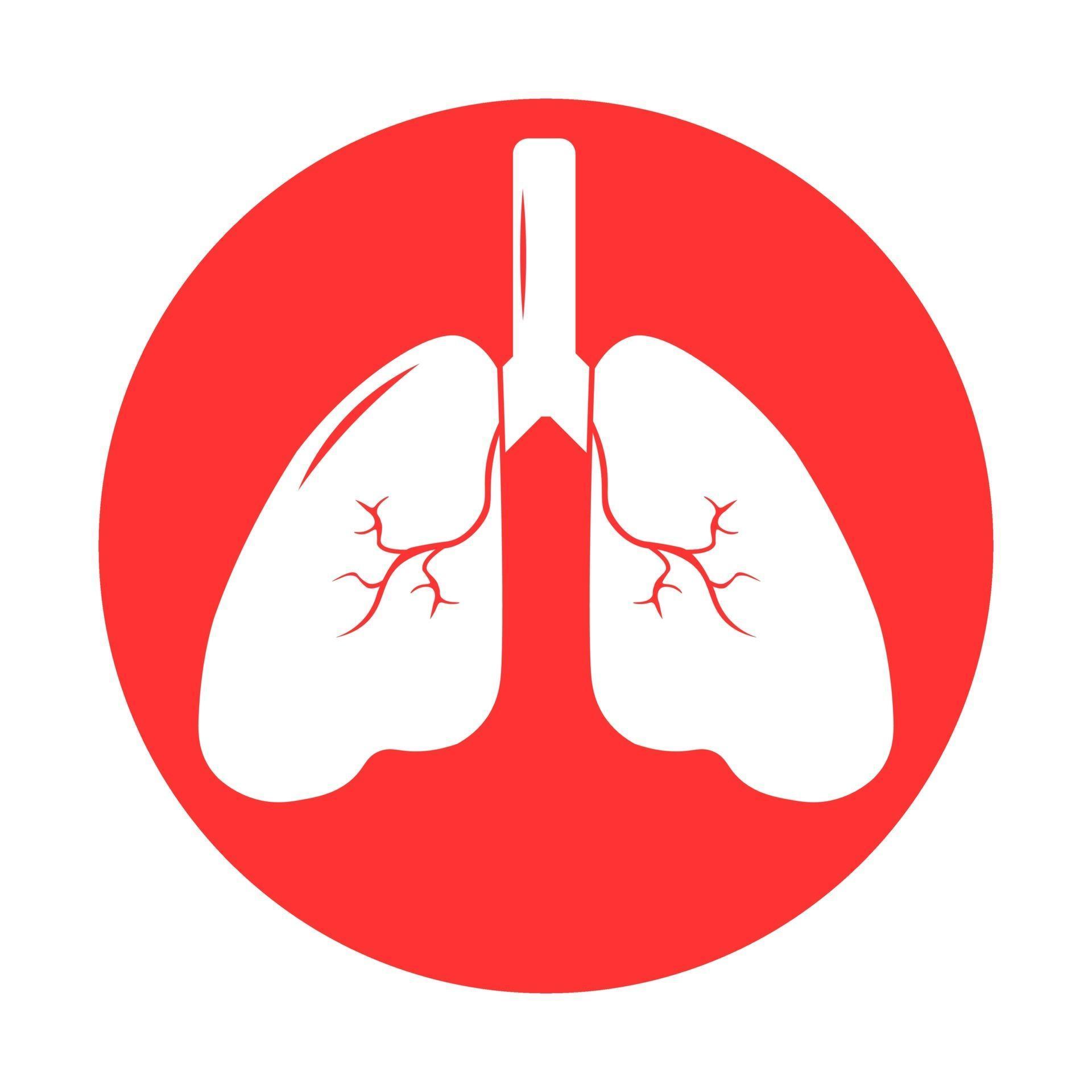 Lung human icon, respiratory system healthy lungs anatomy flat medical ... Lung human icon, respiratory system healthy lungs anatomy flat medical ...
