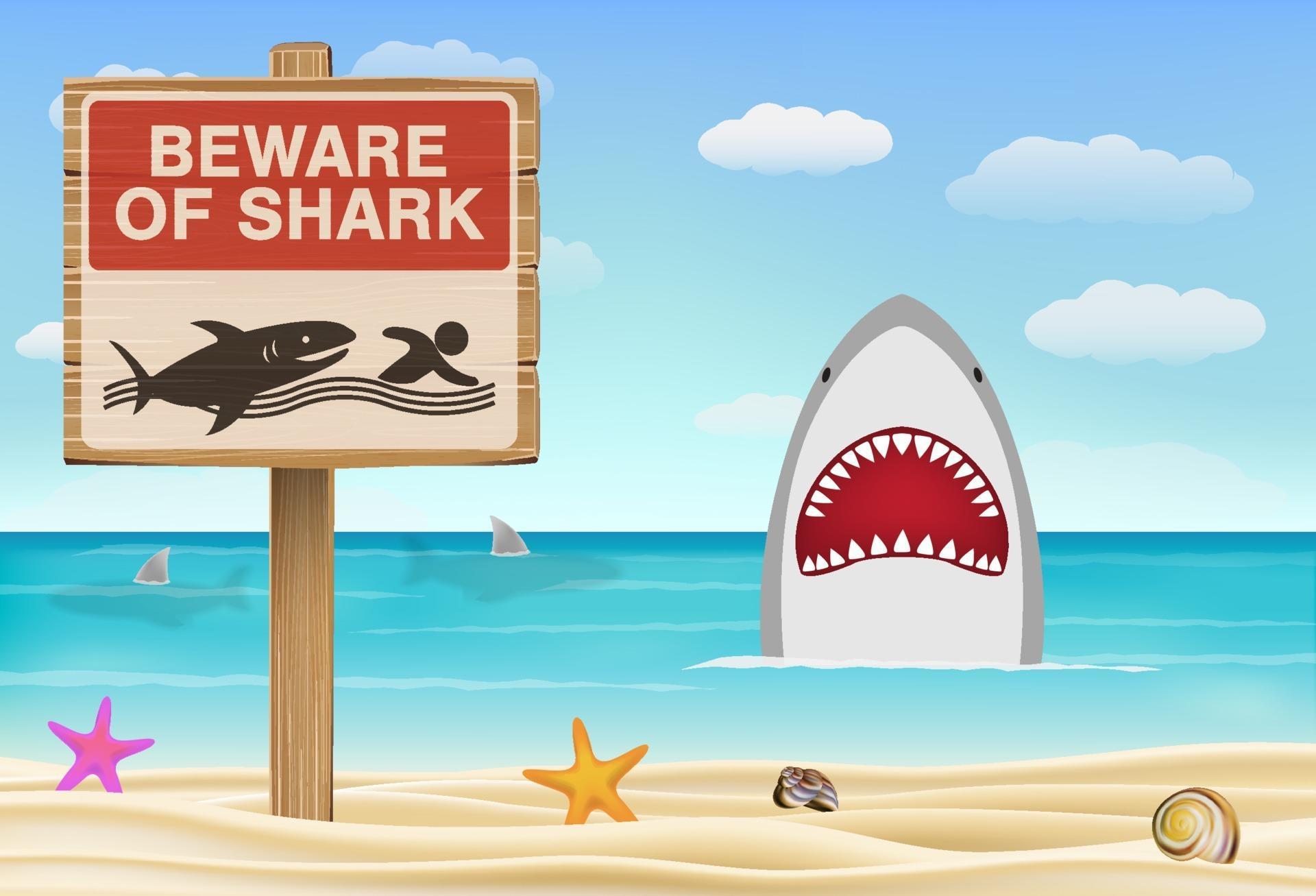 beware of shark sign on sea sand beach 2298561 Vector Art at Vecteezy