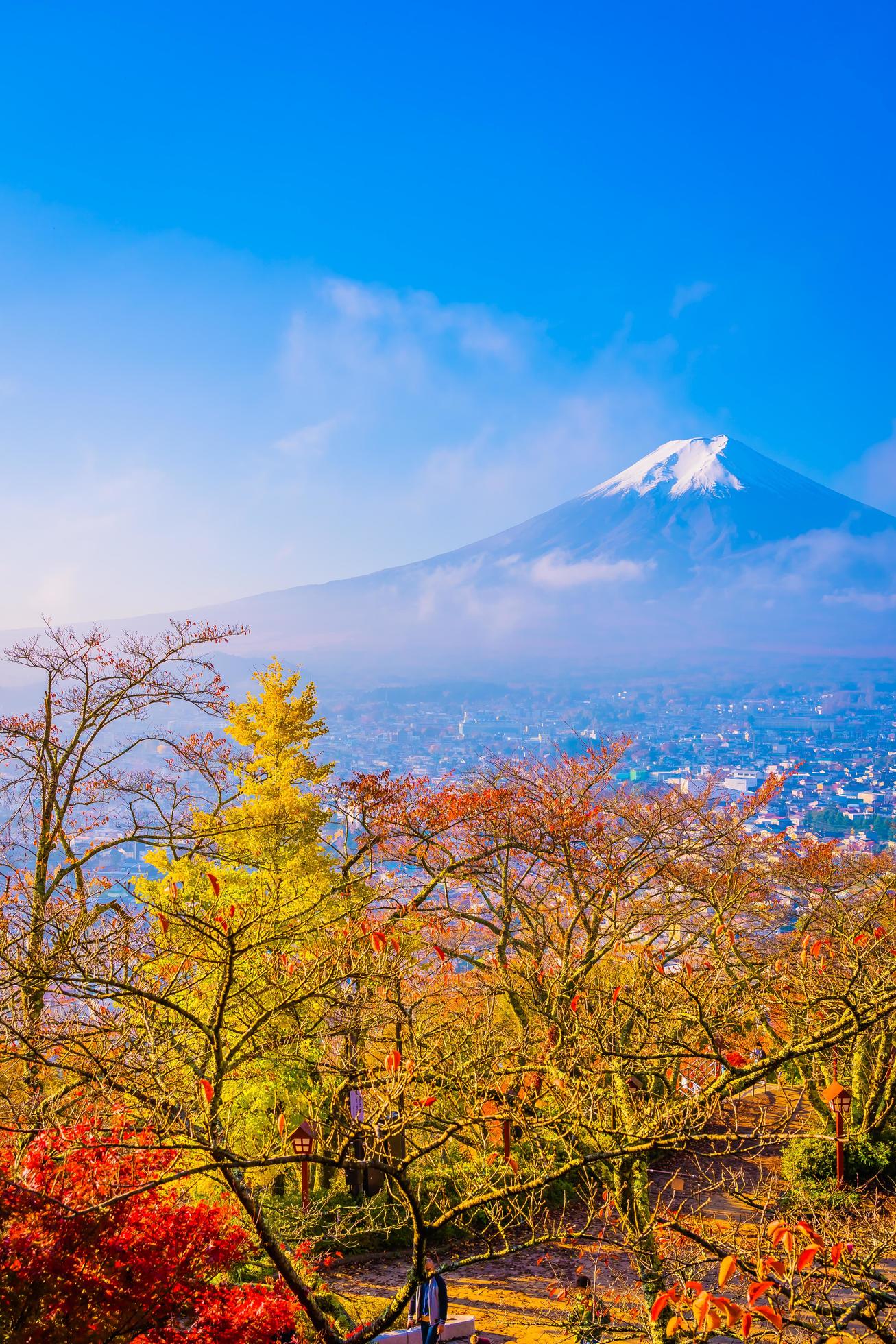 Beautiful landscape of Mt. Fuji in autumn season 2300161 Stock Photo at ...