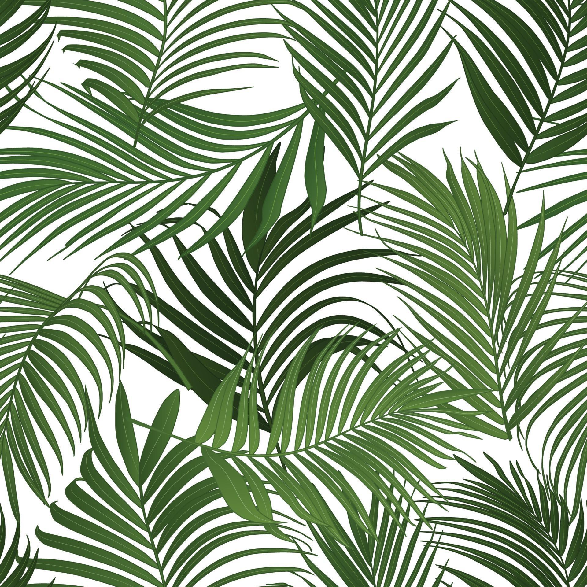 Palm Leaf Vector Seamless Pattern 2304137 Vector Art At Vecteezy