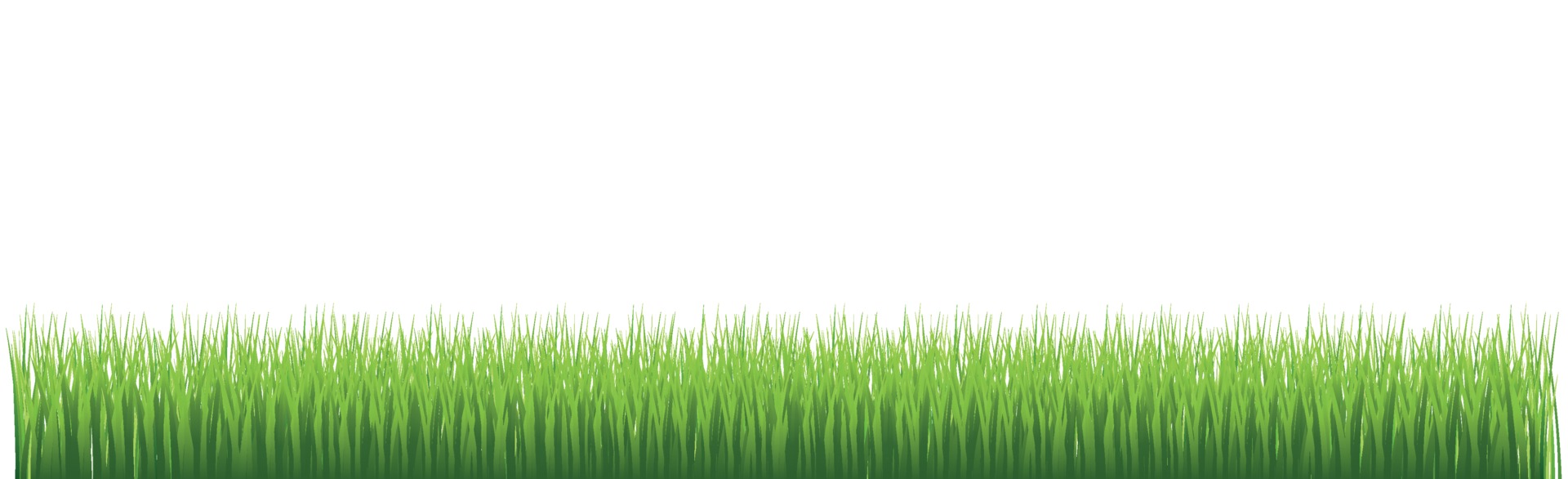 Green Juicy Grass On A White Background 2373836 Vector Art At Vecteezy