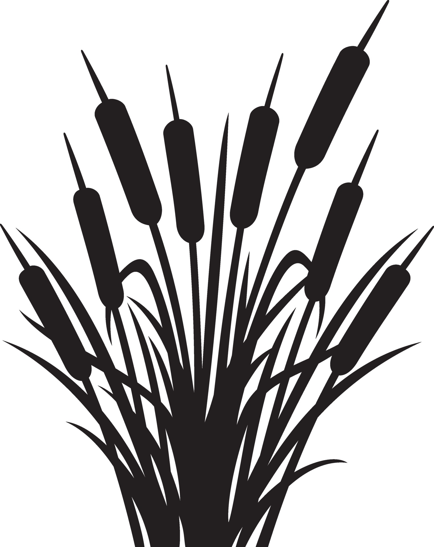 Reeds Silhouette Bulrush And Grass 2387534 Vector Art At Vecteezy