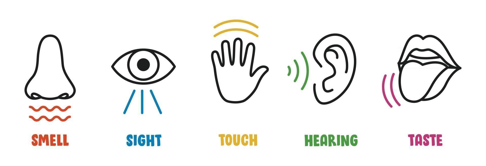 Five Senses Concept With Human Organs 2396057 Vector Art At Vecteezy