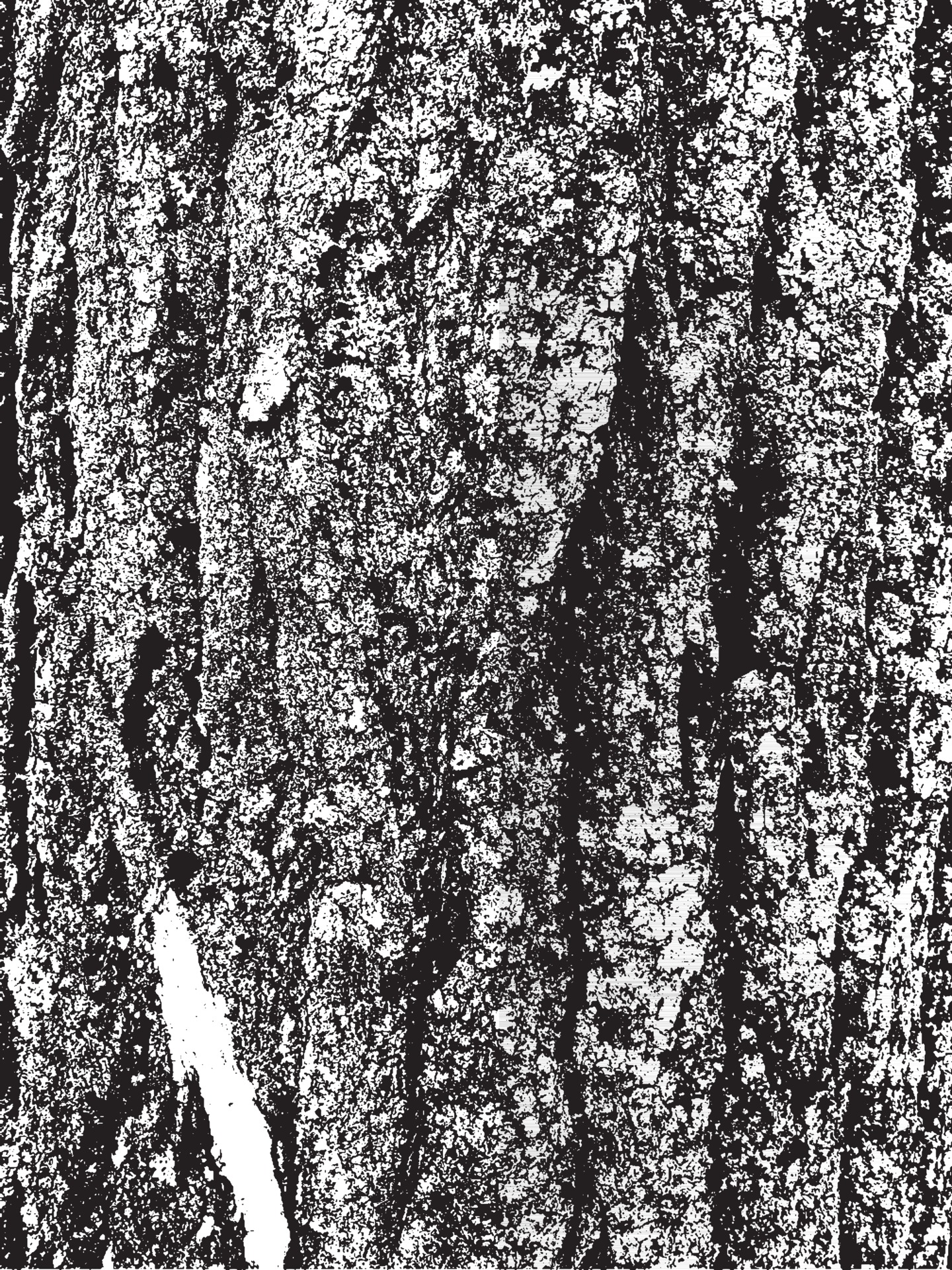 Grunge tree bark texture 2423546 Vector Art at Vecteezy