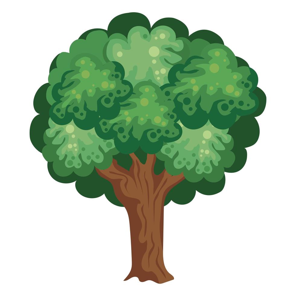 spring tree plant 2454375 Vector Art at Vecteezy