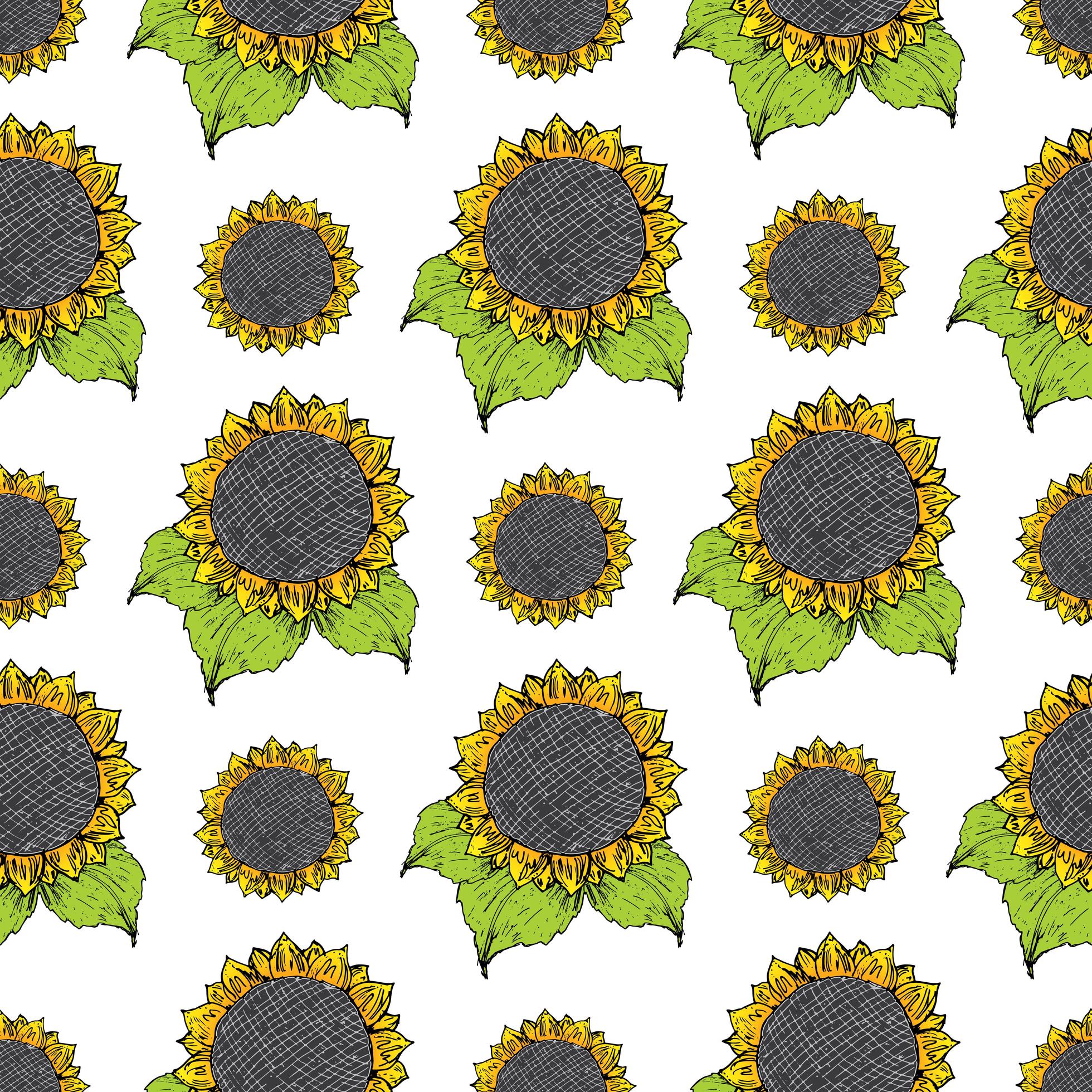 Sunflower seamless pattern hand drawn sketch, background, typography ... Sunflower seamless pattern hand drawn sketch, background, typography ...