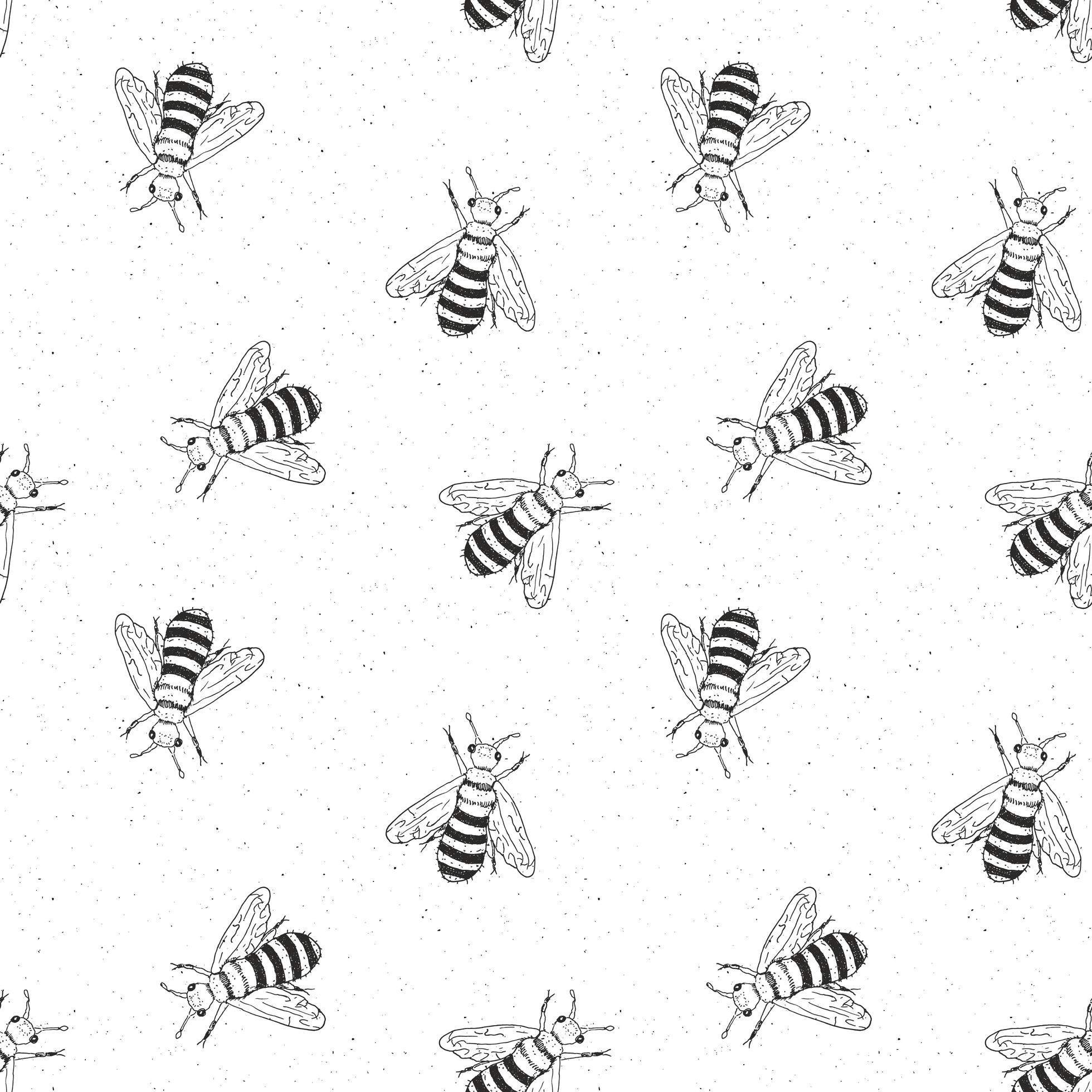 Bee hand drawn seamless pattern, monochrome background vector ... Bee hand drawn seamless pattern, monochrome background vector ...