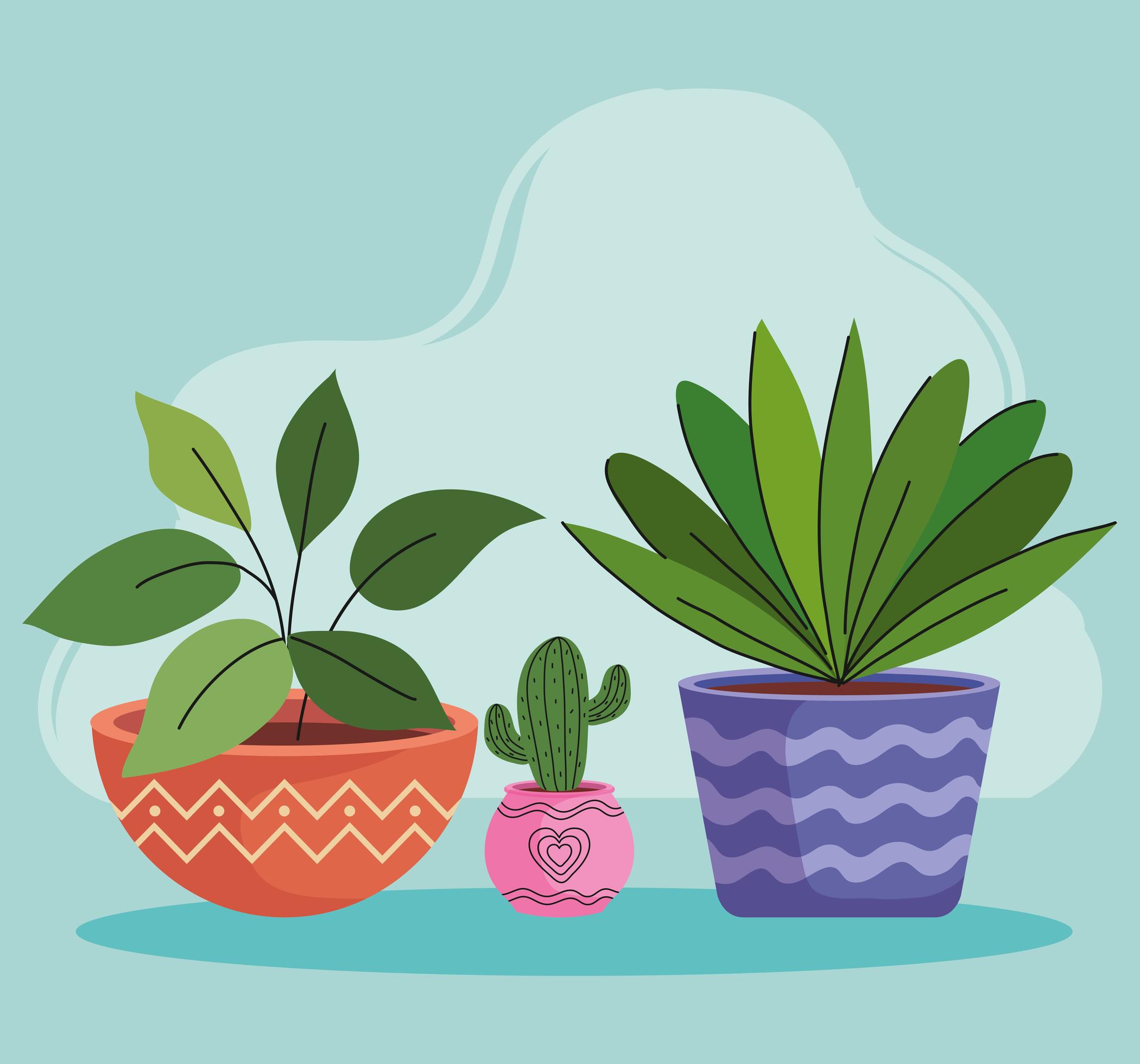 Tres plantas de interior en macetas de cerámica. 2531507 Vector en Vecteezy