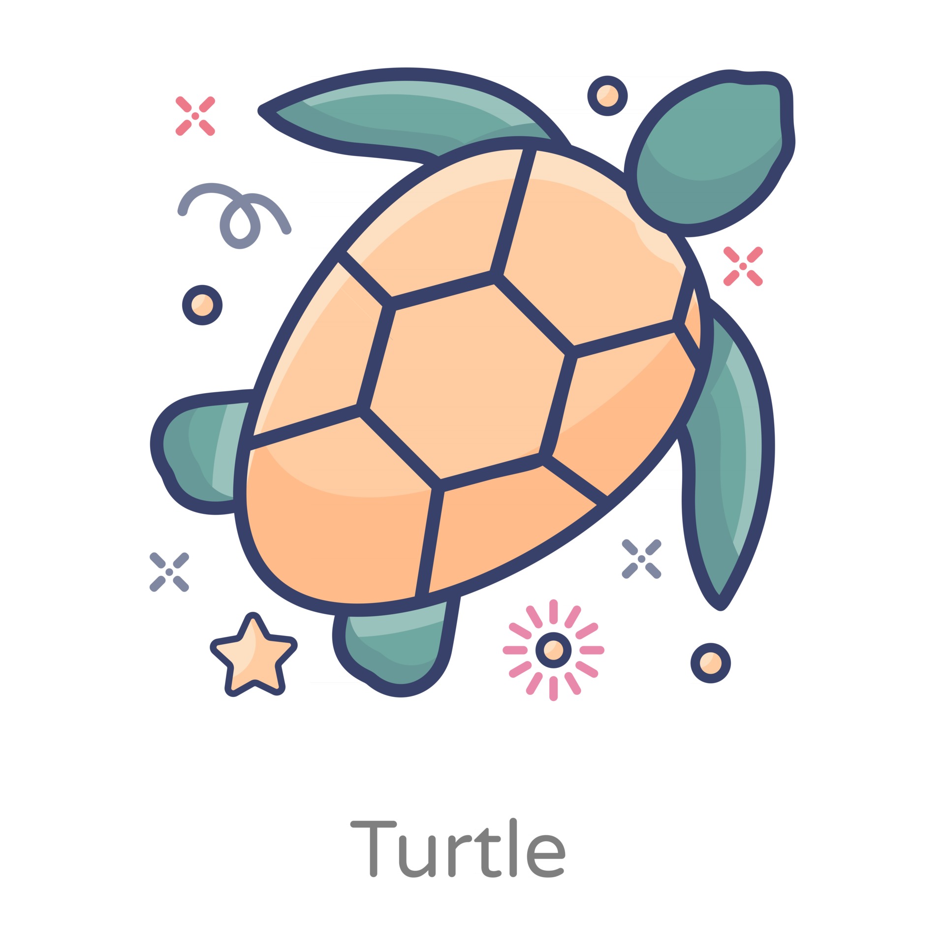 Cartoon Sea Turtle Top View