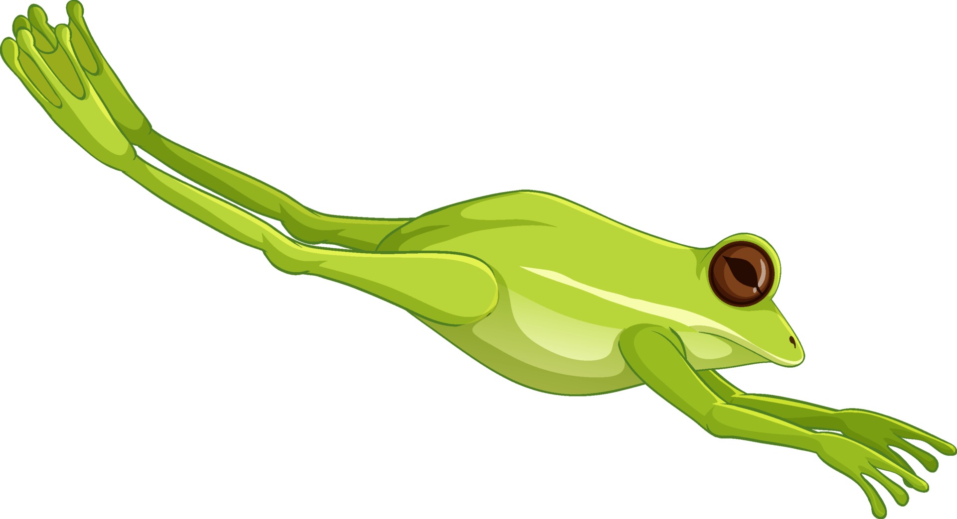 Green tree frog jumping isolated on white background 2583592 Vector Art ... Green tree frog jumping isolated on white background 2583592 Vector Art ...