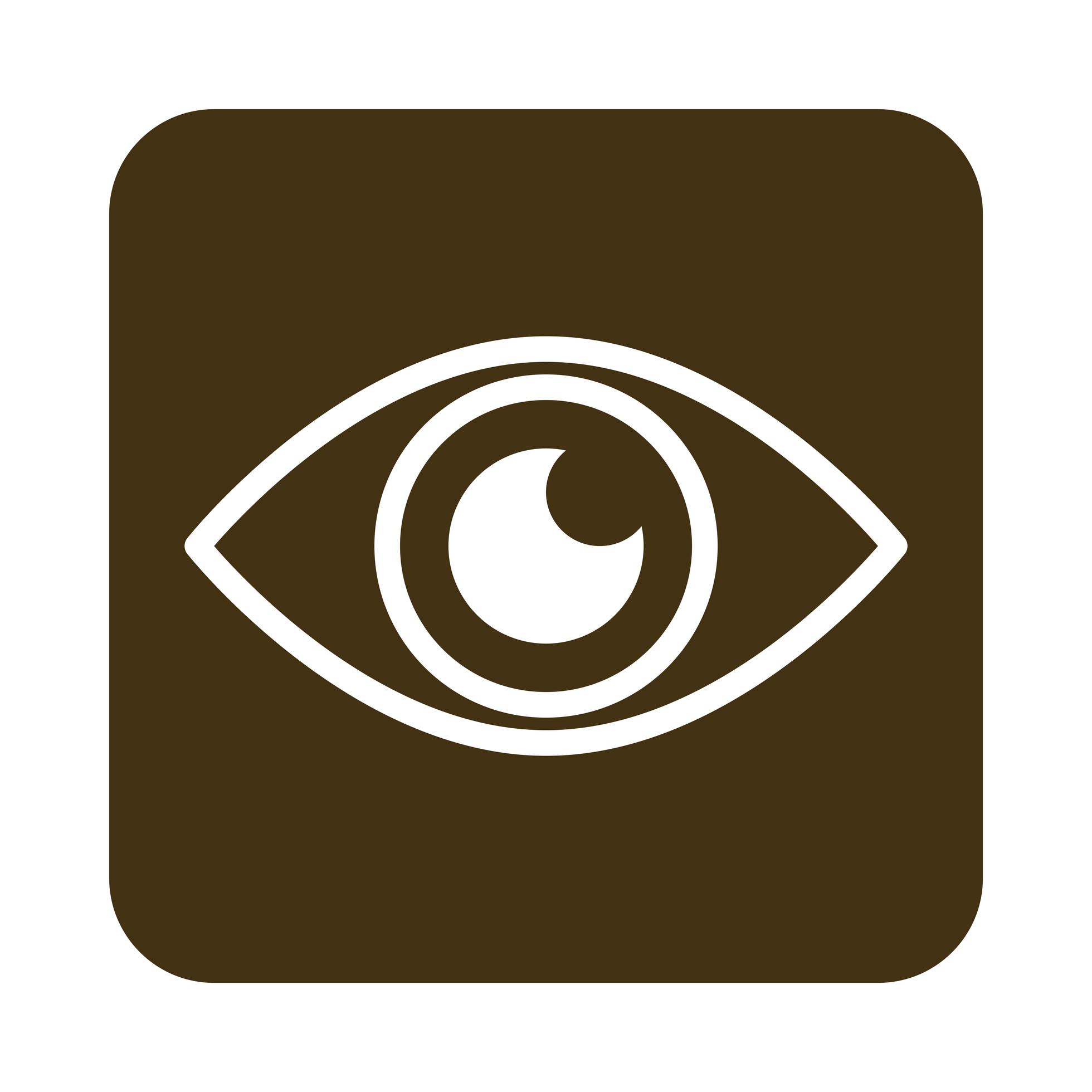 Mobile Application Surveillance Web Button Menu Digital Flat Style Icon